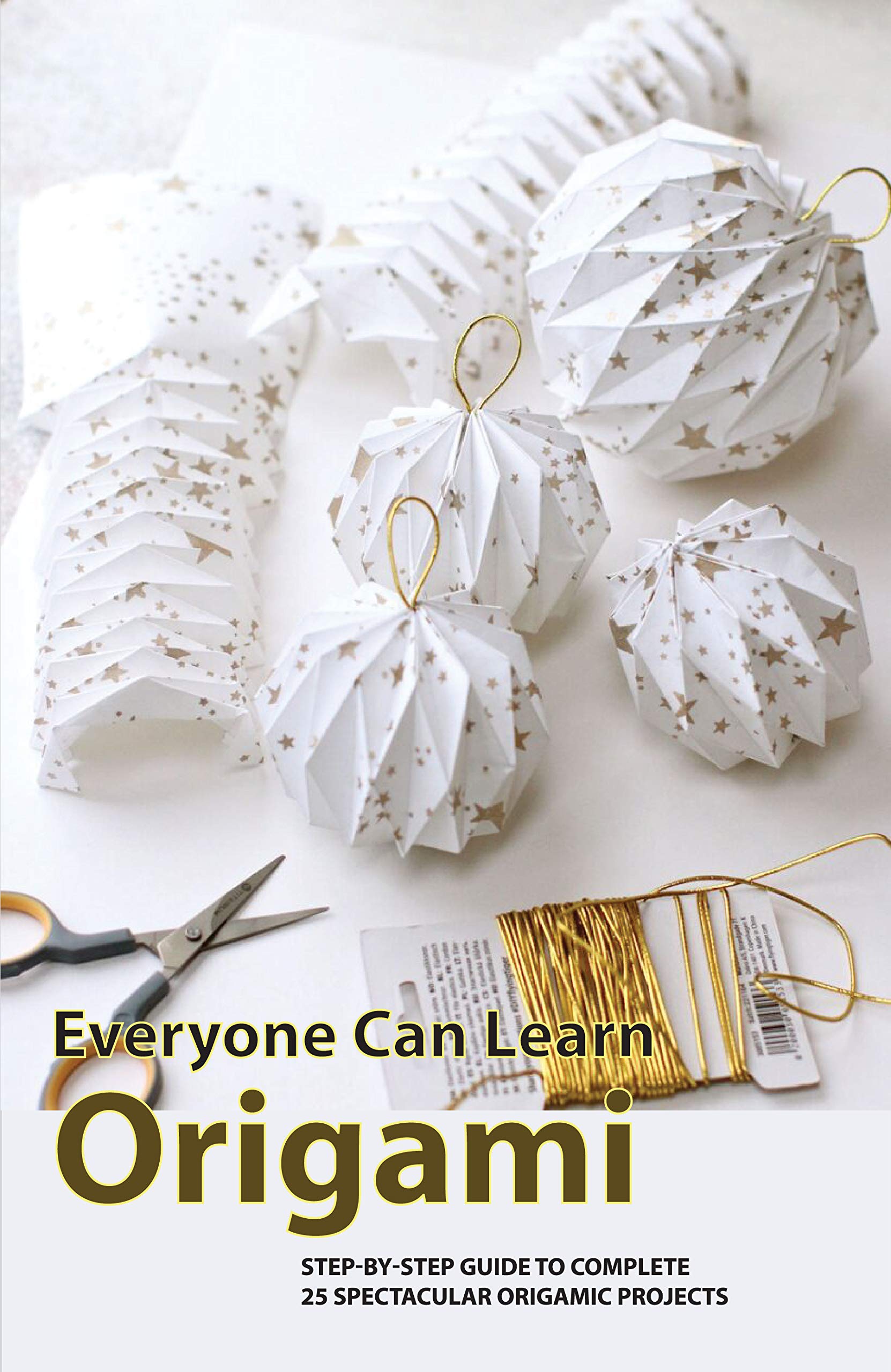 Everyone Can Learn Origami- Step-by-step Guide To Complete 25 ...