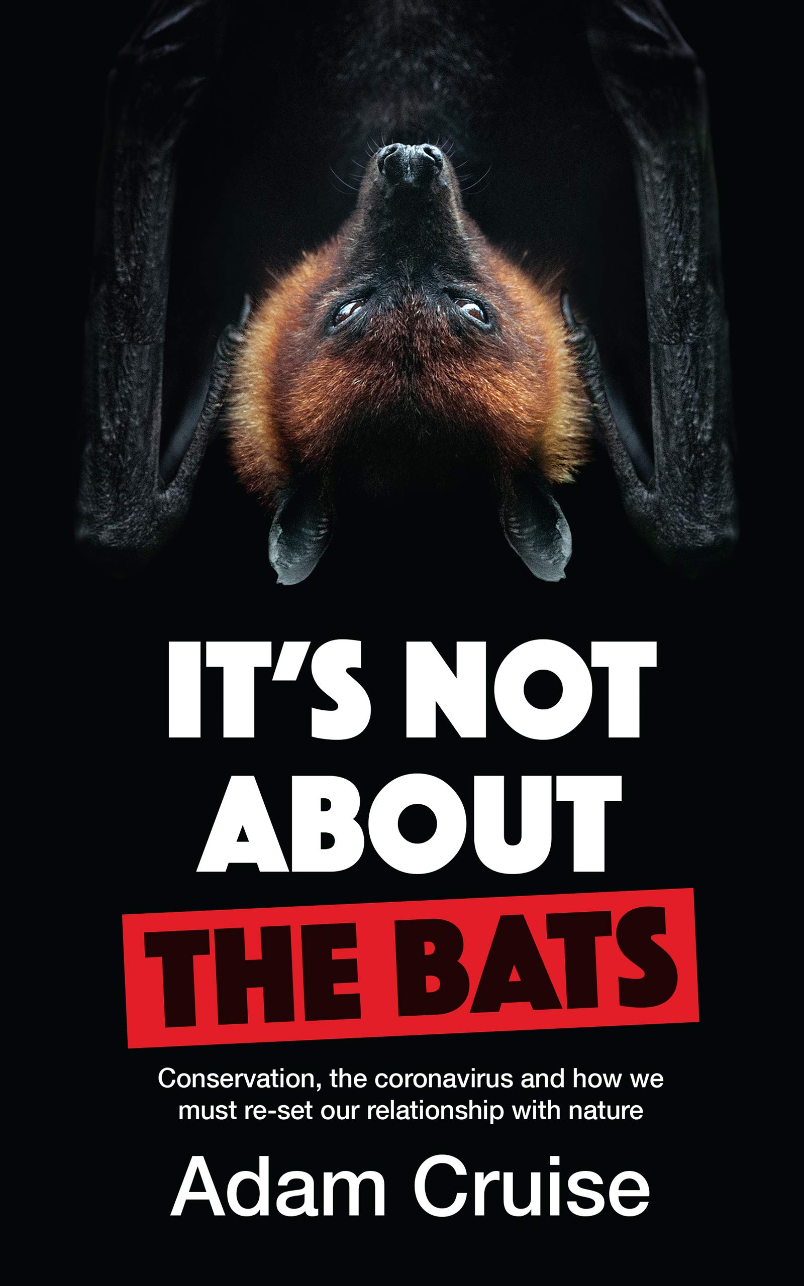 It's Not About the Bats: Conservation, the coronavirus and how we must ...