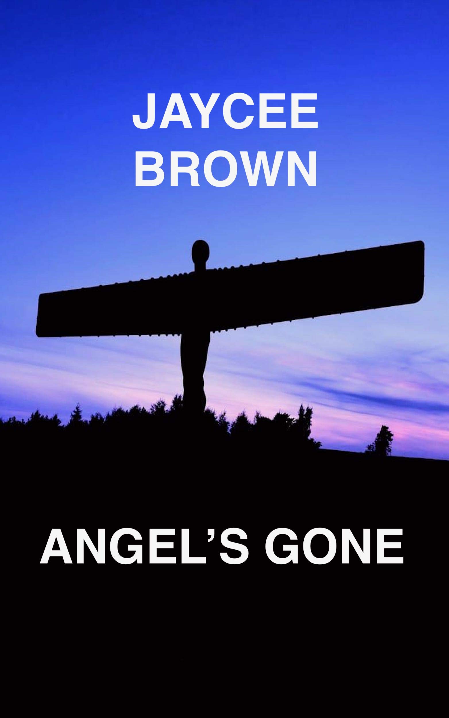 Angel's Gone: Helen Riley #4 (The Helen Riley Series) by Jaycee Brown | Goodreads