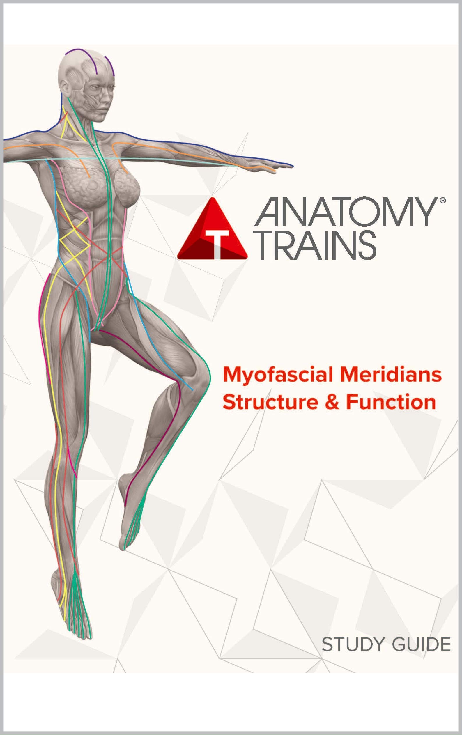 Anatomy Trains Myofascial Meridians Structure & Function: Study Guide ...