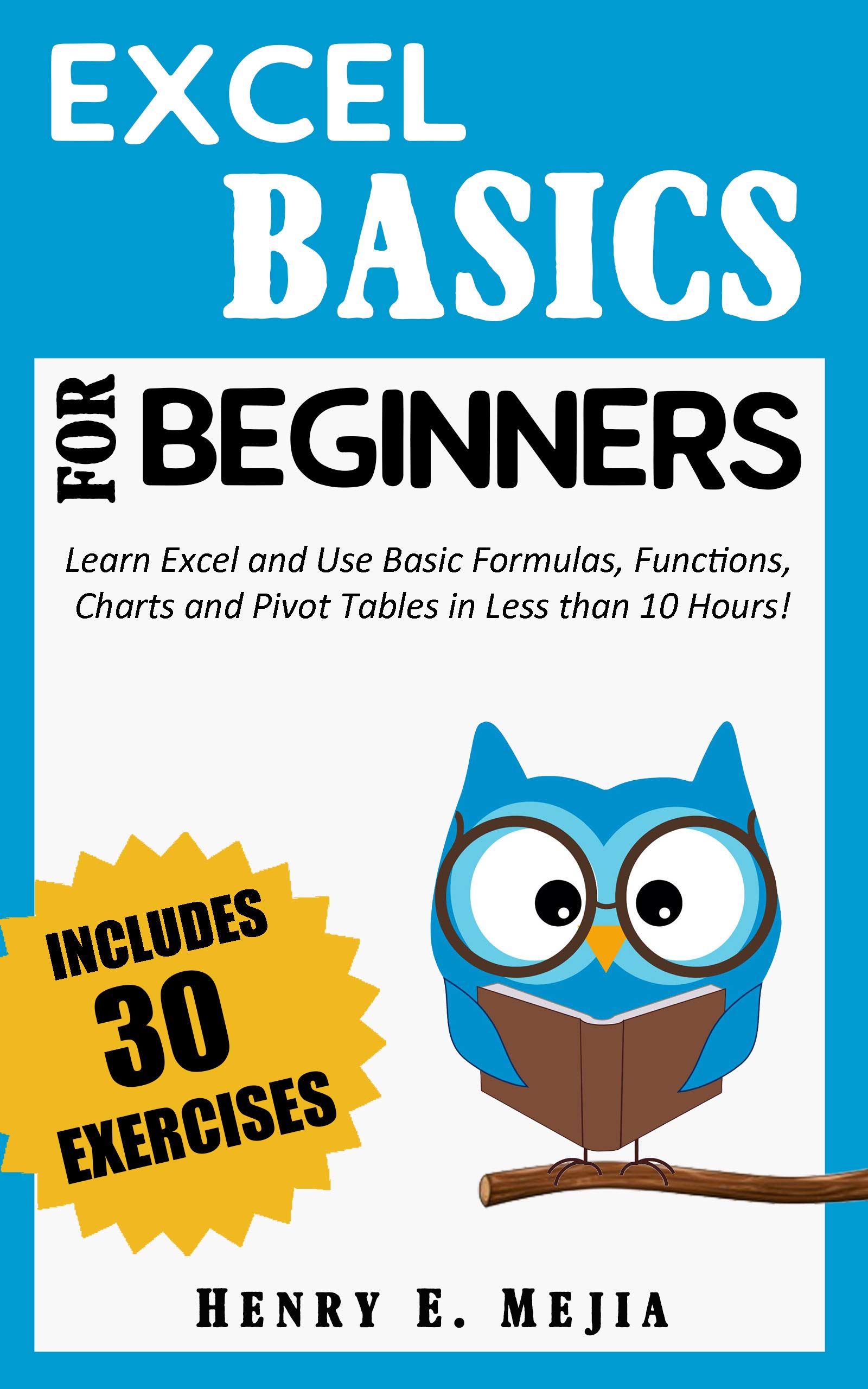 EXCEL BASICS FOR BEGINNERS: Learn Excel and Use Basic Formulas ...