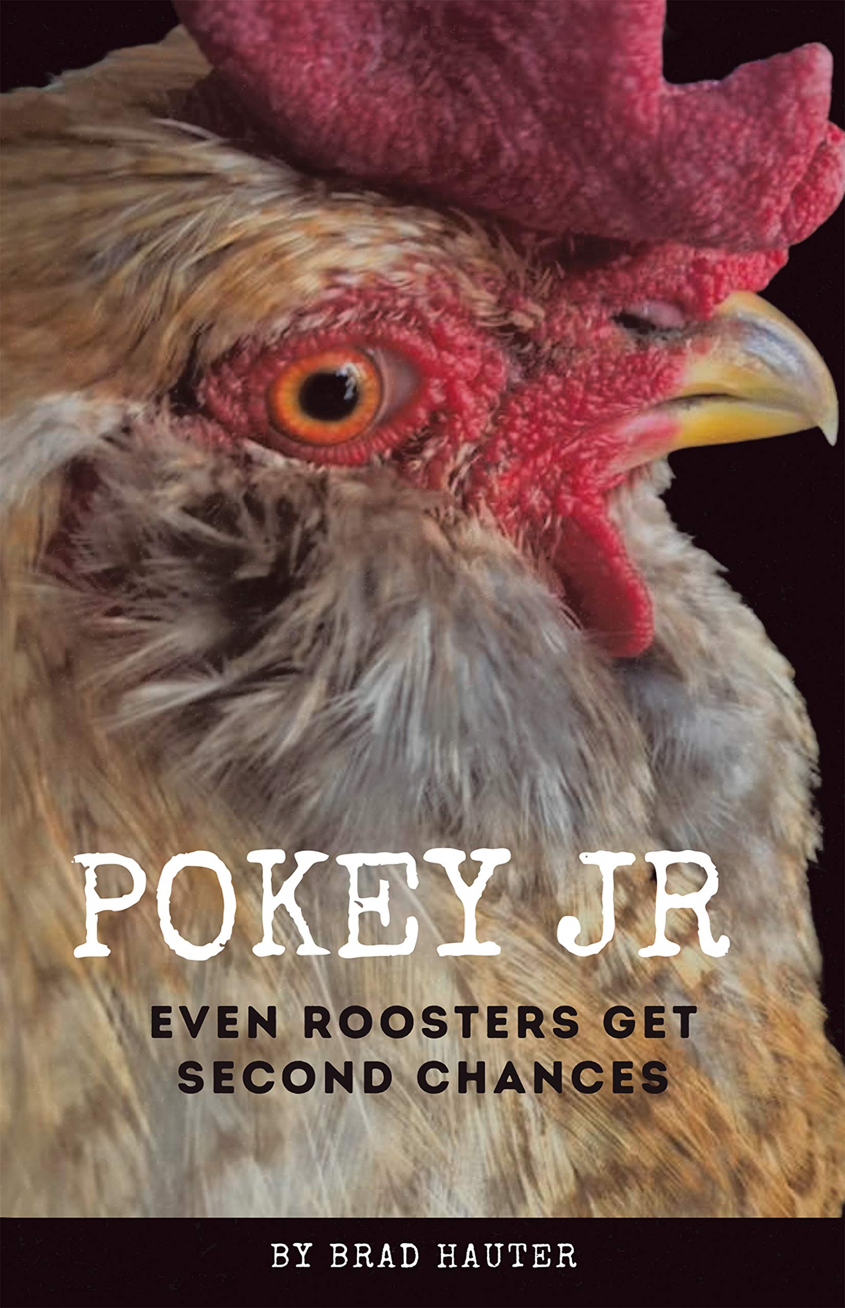 Pokey Jr: Even Roosters Get Second Chances by Brad Hauter | Goodreads
