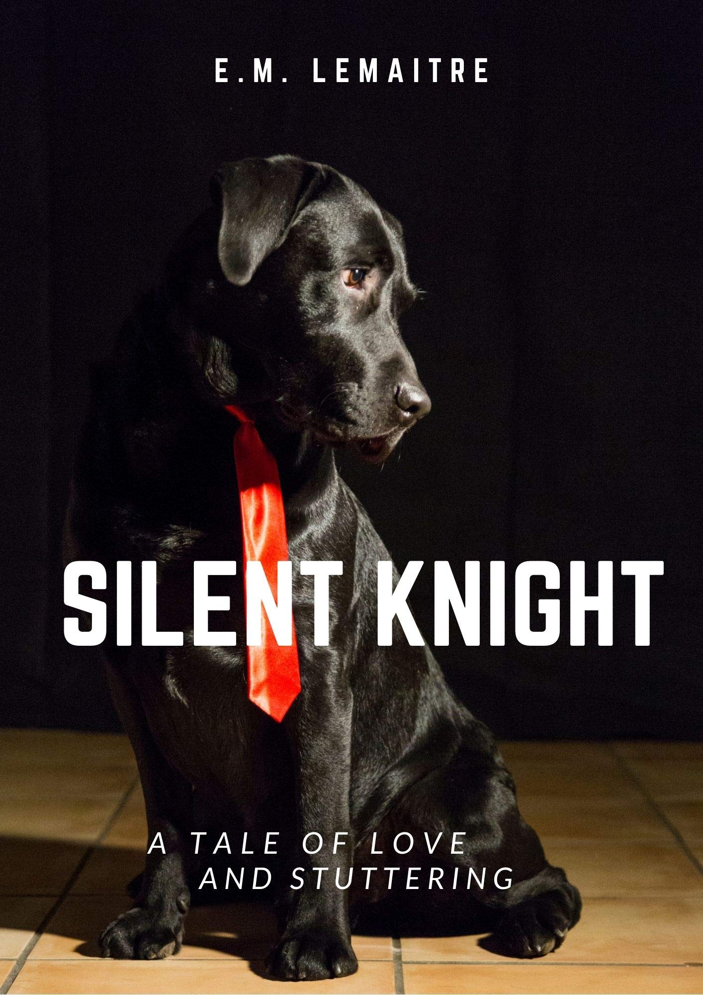 SILENT KNIGHT: A Tale of Love and Stuttering by Ellen LeMaitre | Goodreads