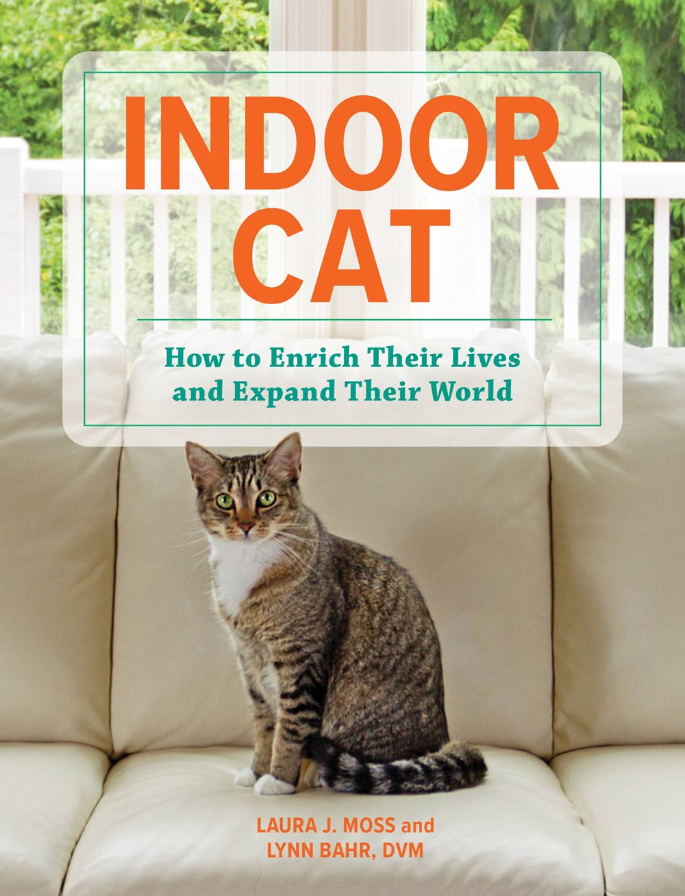 Indoor Cat: How to Enrich Their Lives and Expand Their World by Laura J ...