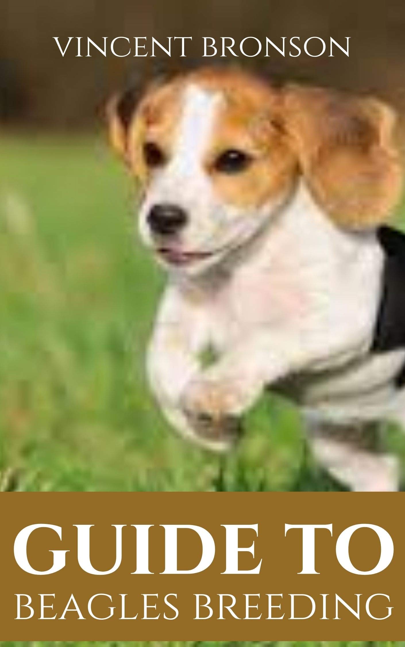 Guide to Beagles Breeding: Dog, (Canis lupus familiaris), is a domestic ...