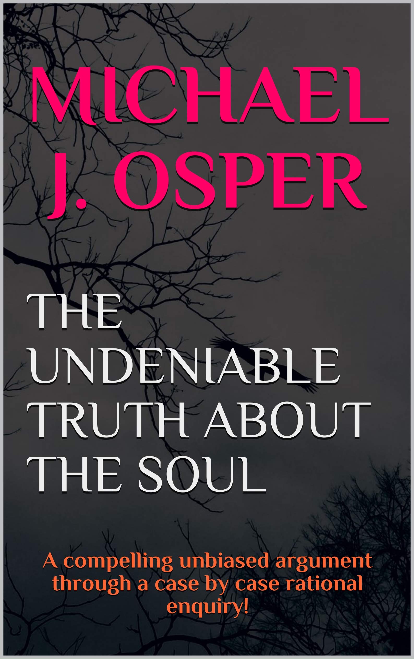 THE UNDENIABLE TRUTH ABOUT THE SOUL: A compelling unbiased argument ...