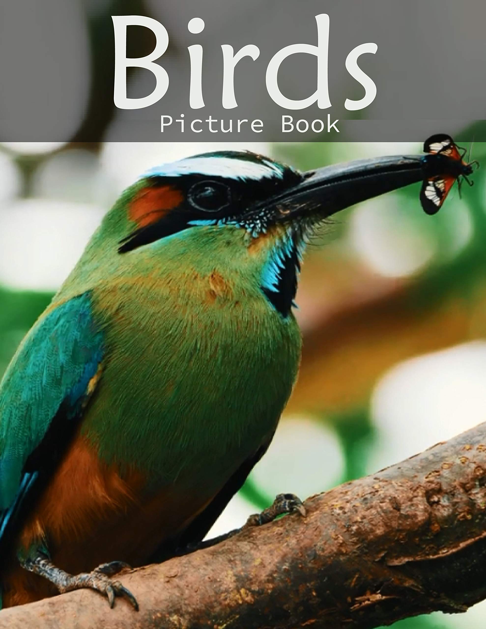 Birds Photography Photo Book | V18: A picture book Gift for Human by ...