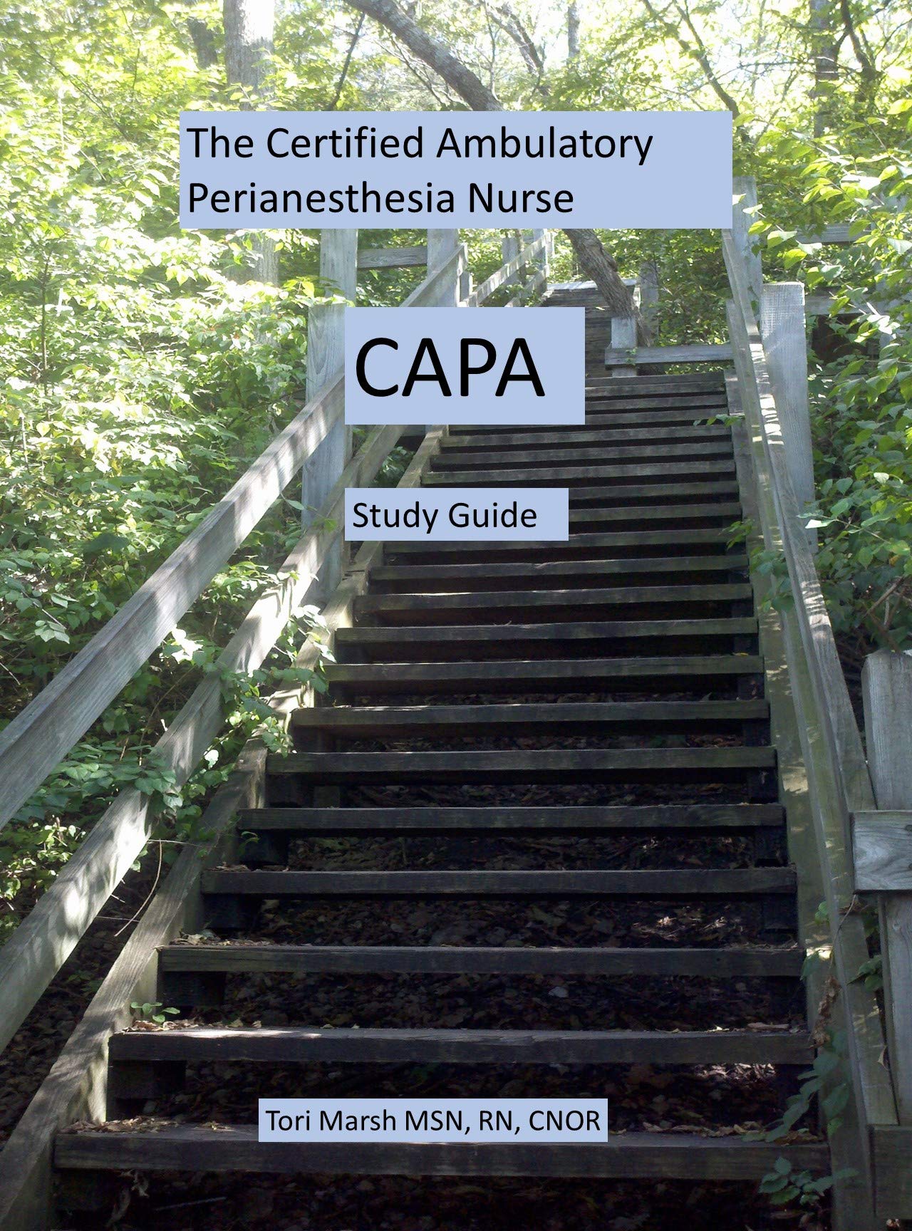 The Certified Ambulatory Perianesthesia Nurse CAPA Study Guide by Tori ...