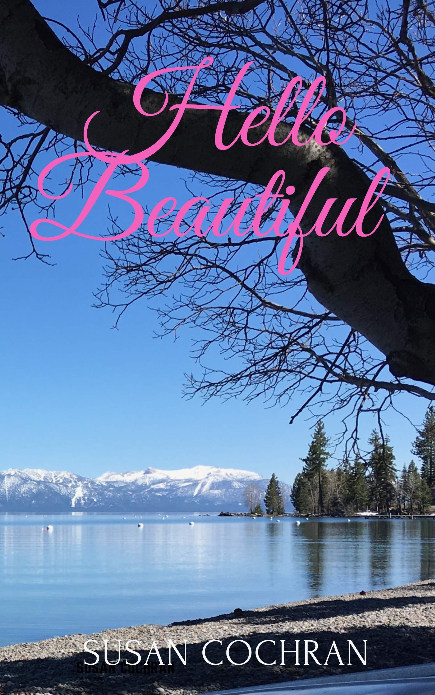 Hello Beautiful by Susan Cochran | Goodreads