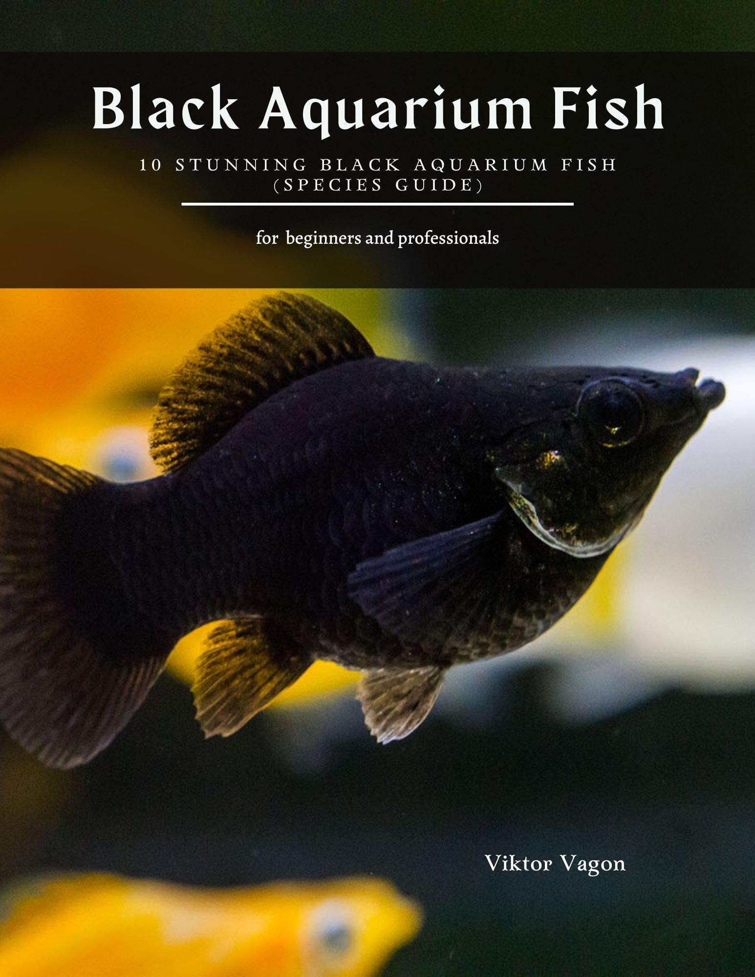 Black Aquarium Fish: 10 Stunning Black Aquarium Fish by Viktor Vagon ...