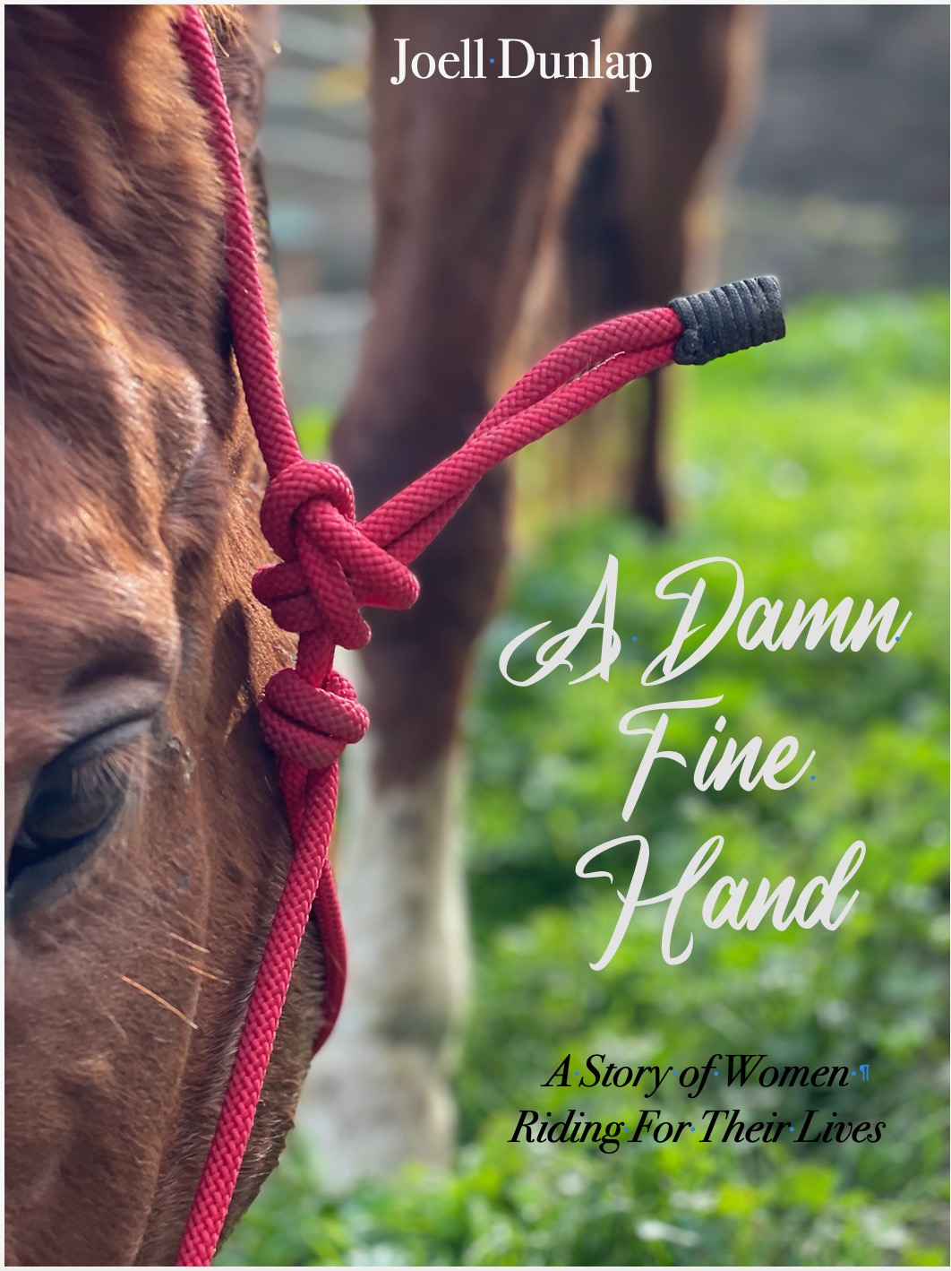 A Damn Fine Hand by Joell Dunlap | Goodreads