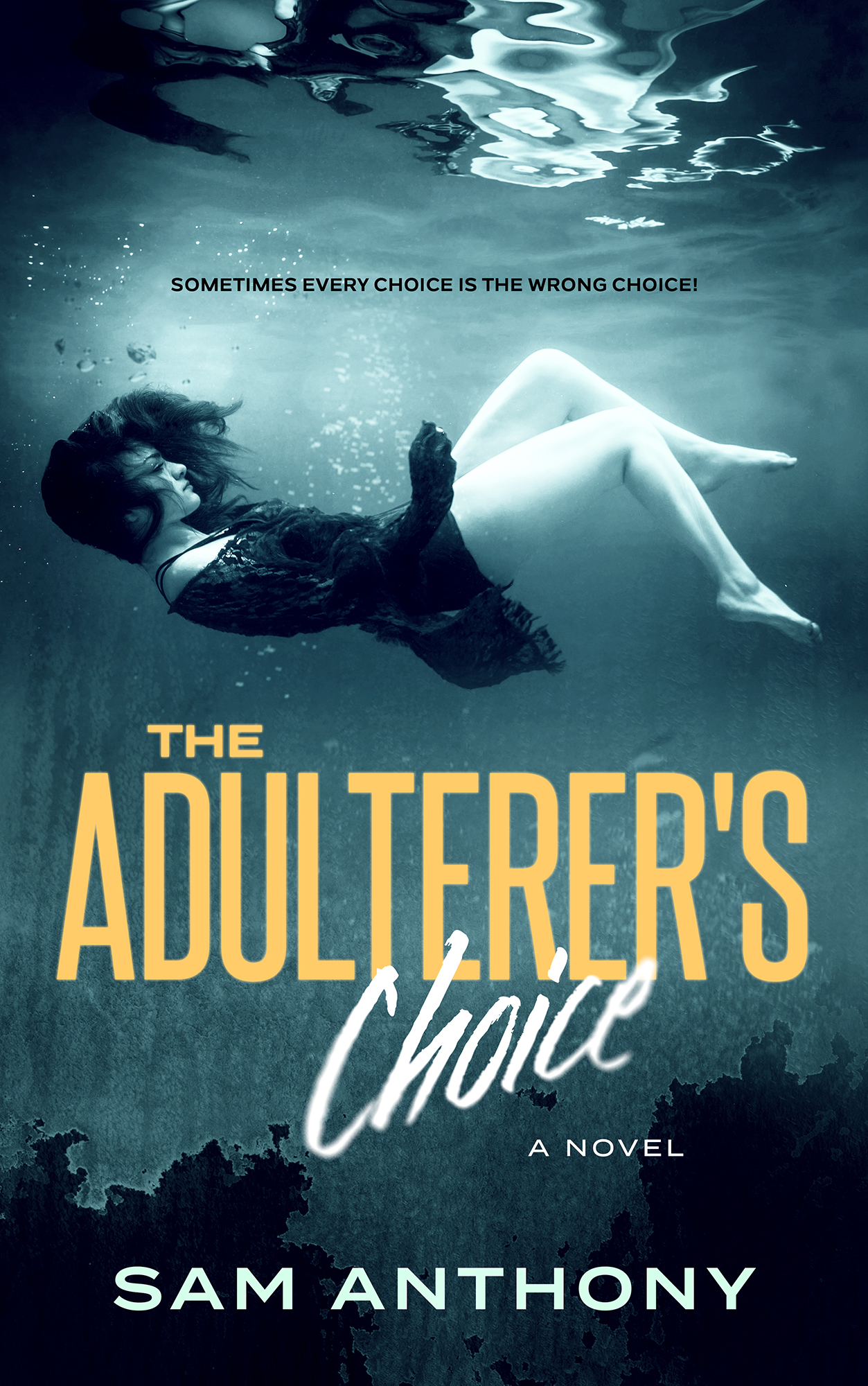 The Adulterer's Choice: A Novel by Sam Anthony | Goodreads