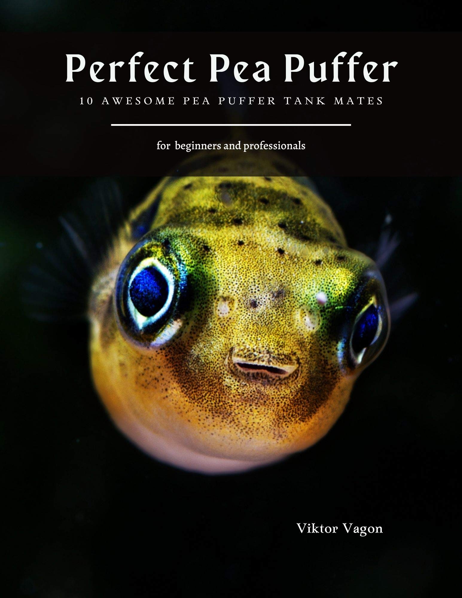 Perfect Pea Puffer: 10 Awesome Pea Puffer Tank Mates by Viktor Vagon ...