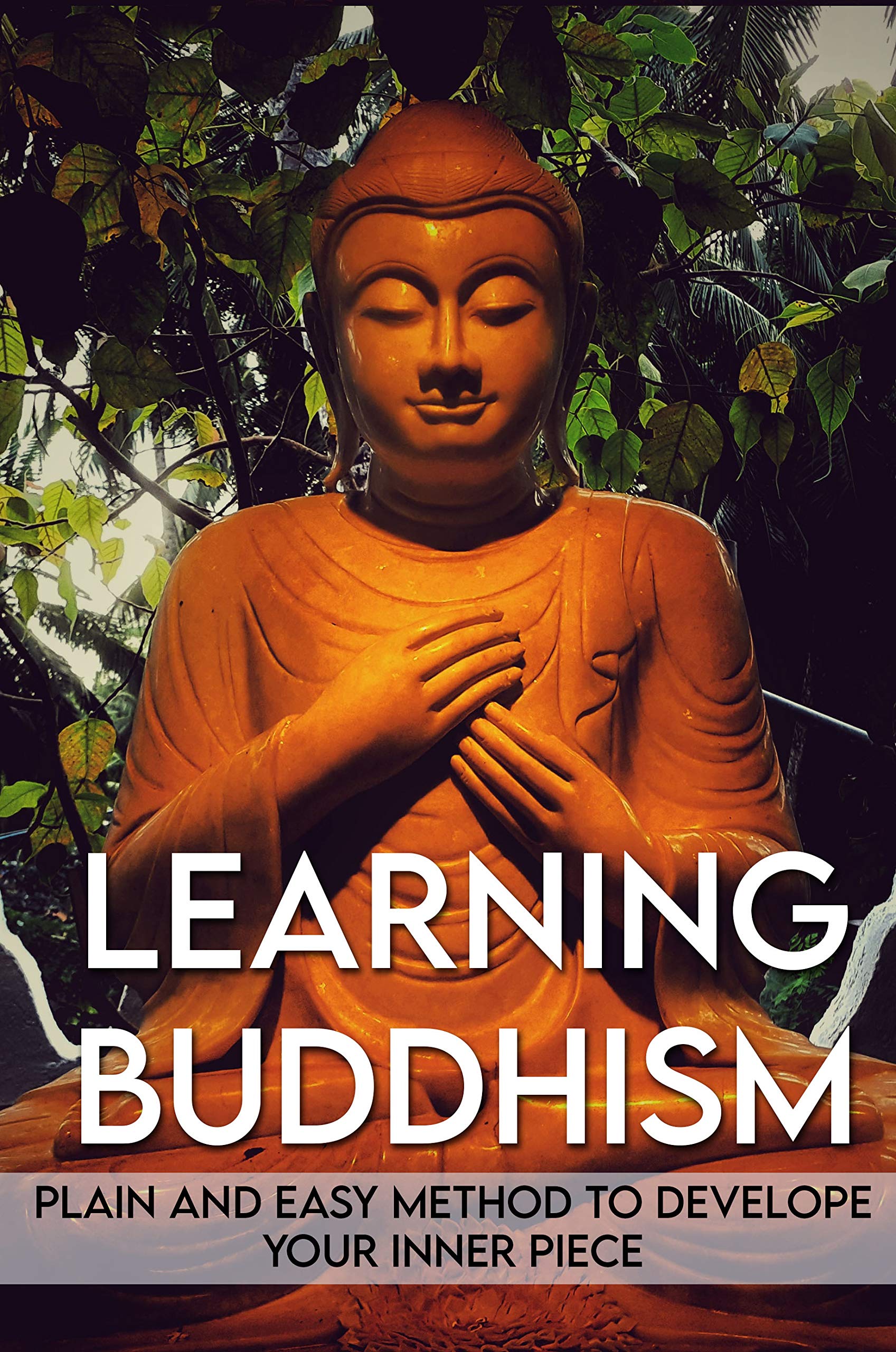 Learning Buddhism: Plain And Easy Method To Develope Your Inner Piece ...