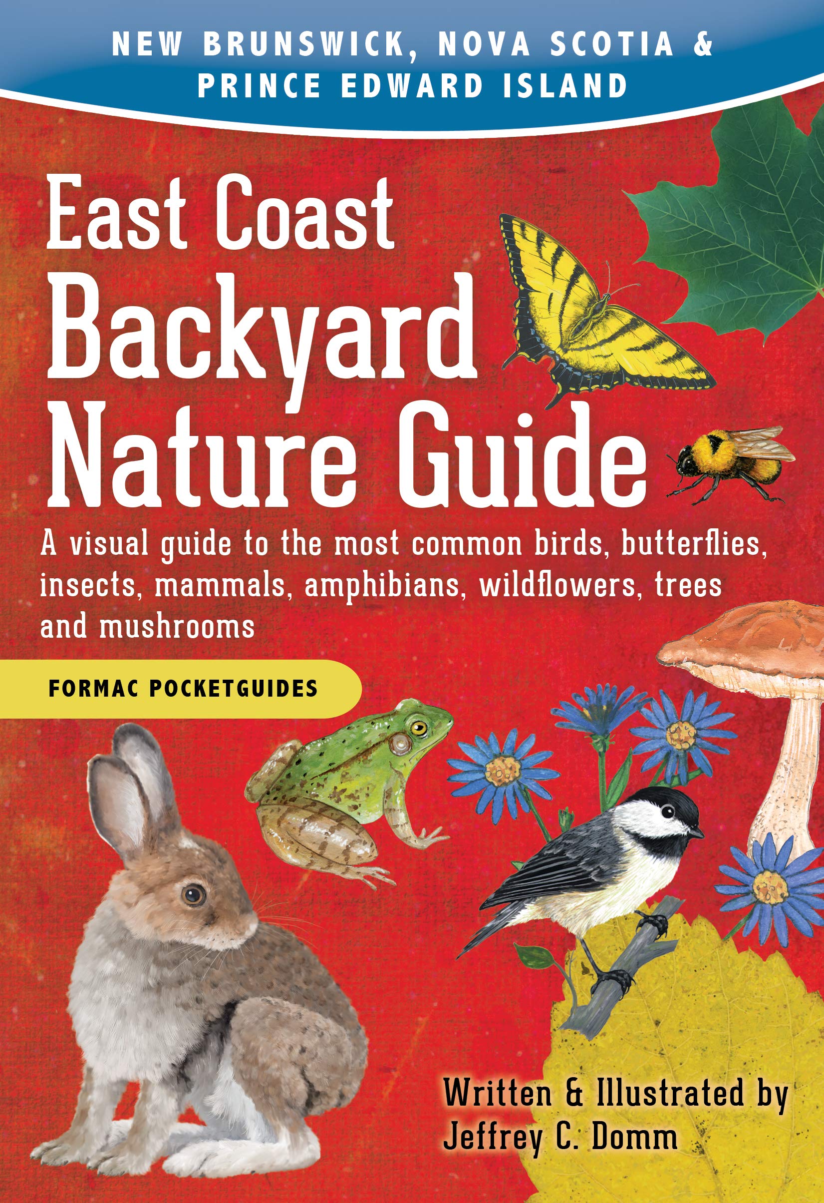 East Coast Backyard Nature Guide by Jeffrey C. Domm | Goodreads