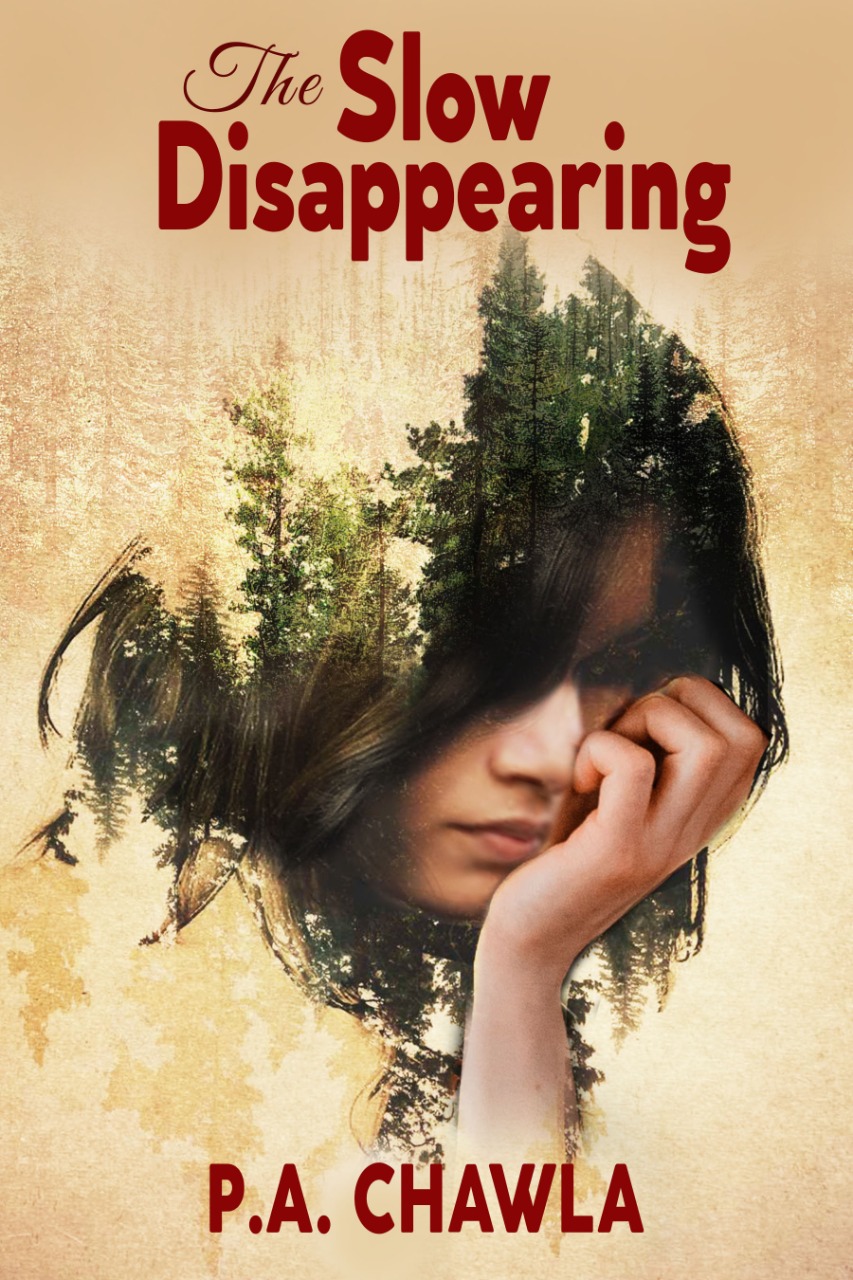 The Slow Disappearing by P.A.Chawla | Goodreads