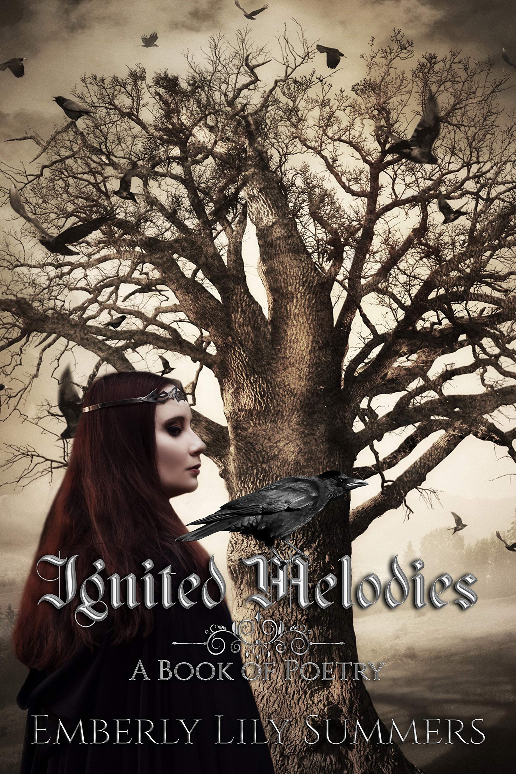 Ignited Melodies: A Book of Poetry by Emberly Lily Summers | Goodreads