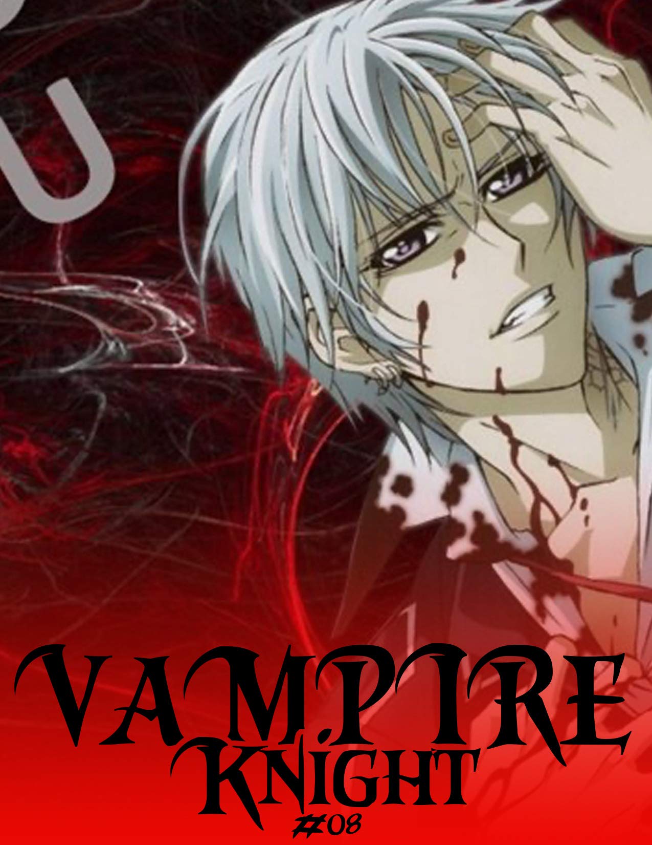 Vampir Knight: Vampire Knight manga box set # 8| Vampire Knight: The ...