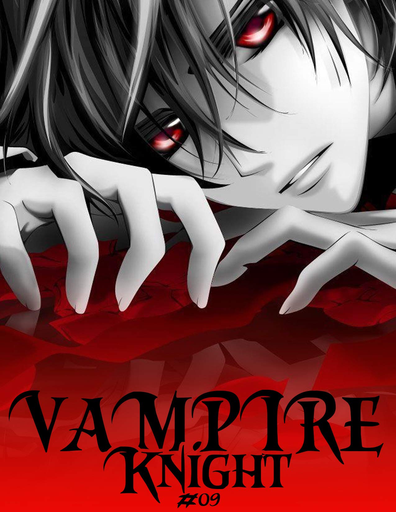 Vampir Knight: Vampire Knight manga box set # 9| Vampire Knight: The ...