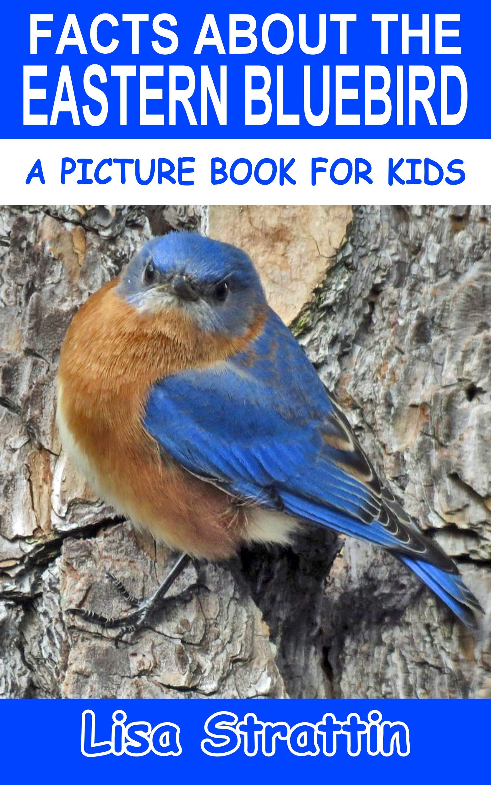 Facts About the Eastern Bluebird by Lisa Strattin | Goodreads