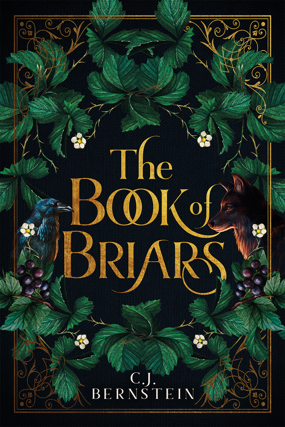 The Book of Briars (The Briar Archive, #5) by C.J. Bernstein | Goodreads