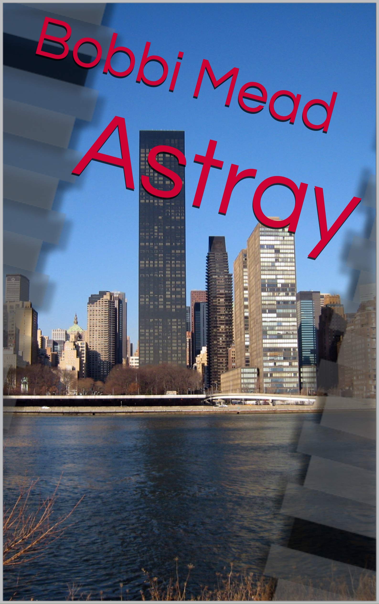 Astray by Bobbi Mead | Goodreads