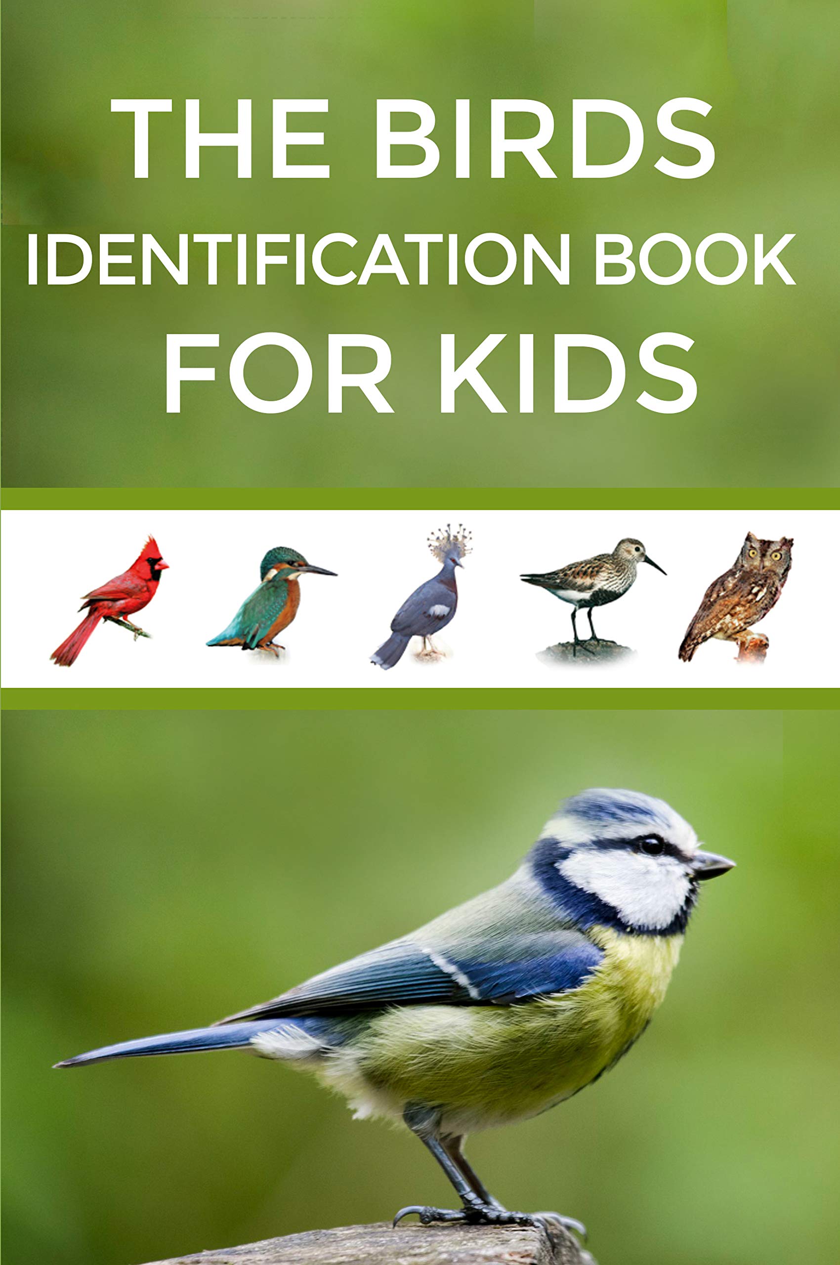 The Birds Identification Book for Kids: Nature Guides for Young ...