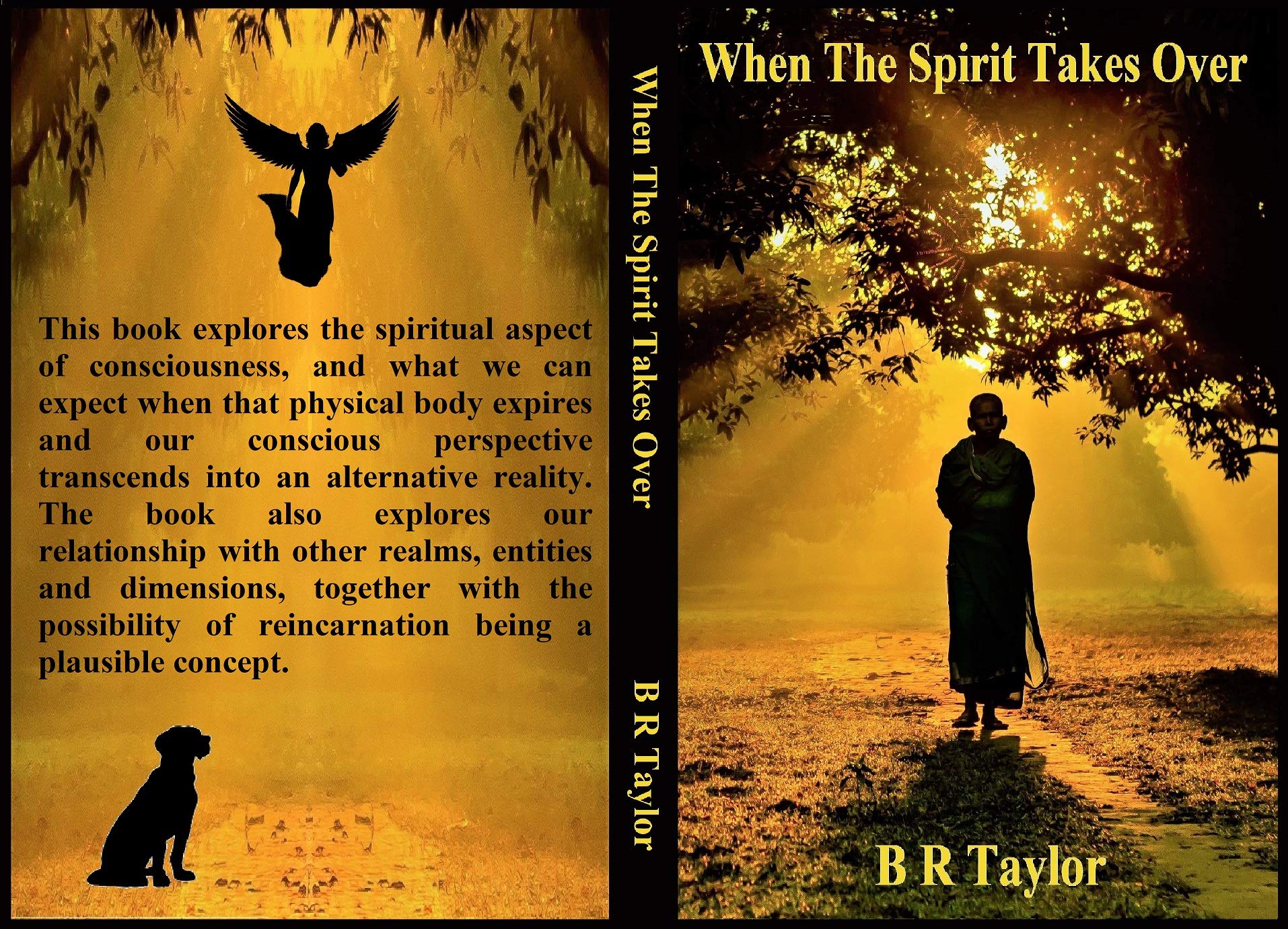 When The Spirit Takes Over by B Taylor | Goodreads