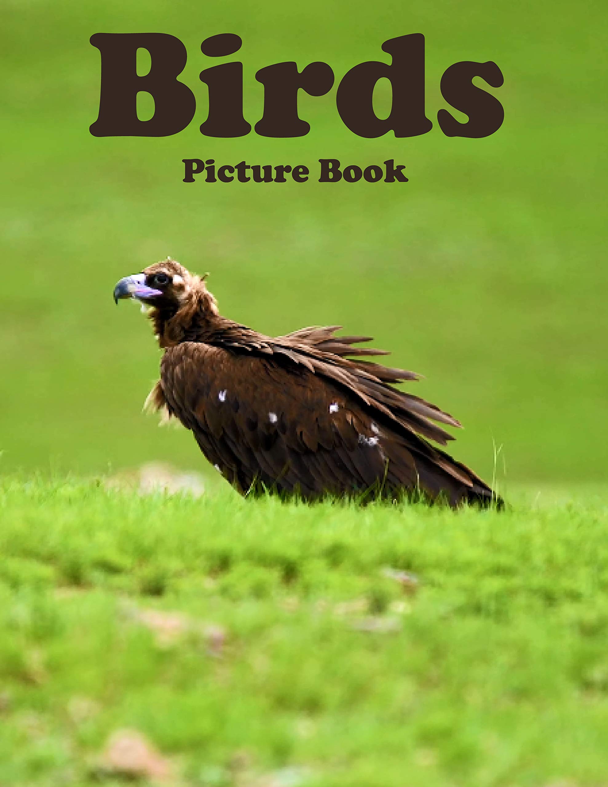 Birds Photography Photo Book | V114 by Rk Jack Henderson | Goodreads