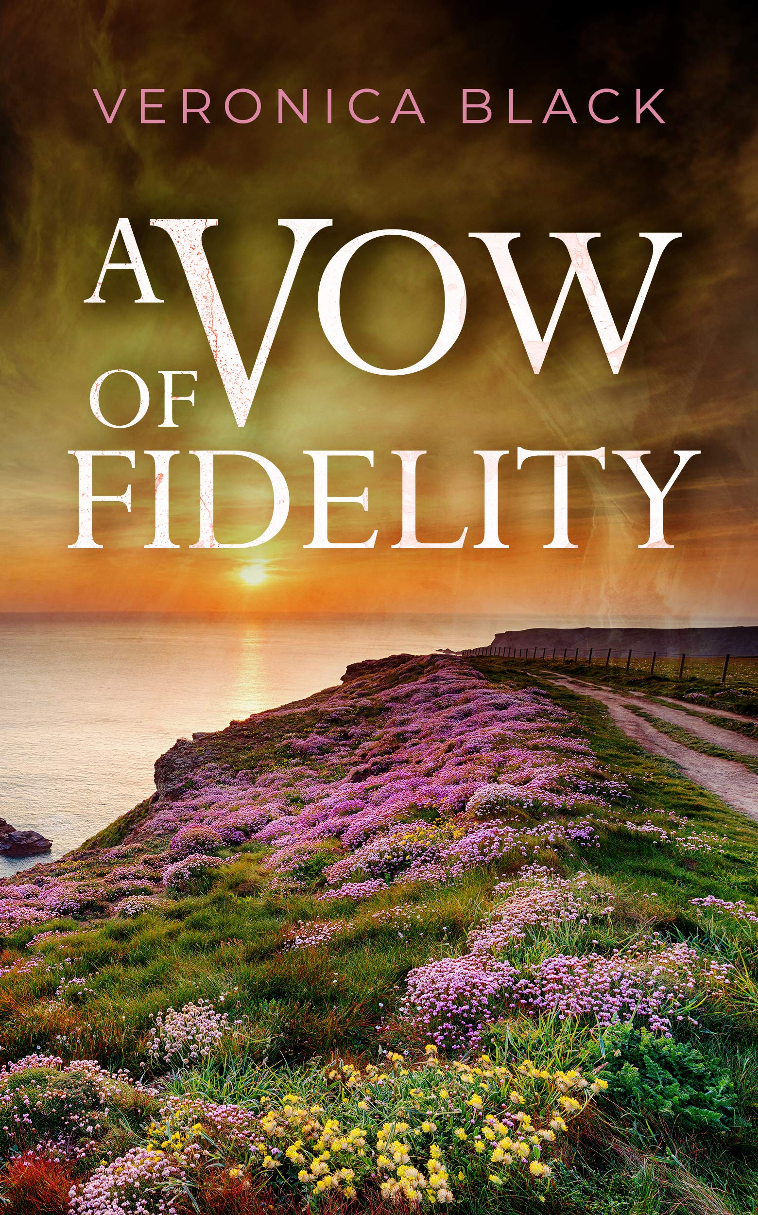 A Vow of Fidelity (Sister Joan Mystery, #7) by Veronica Black | Goodreads