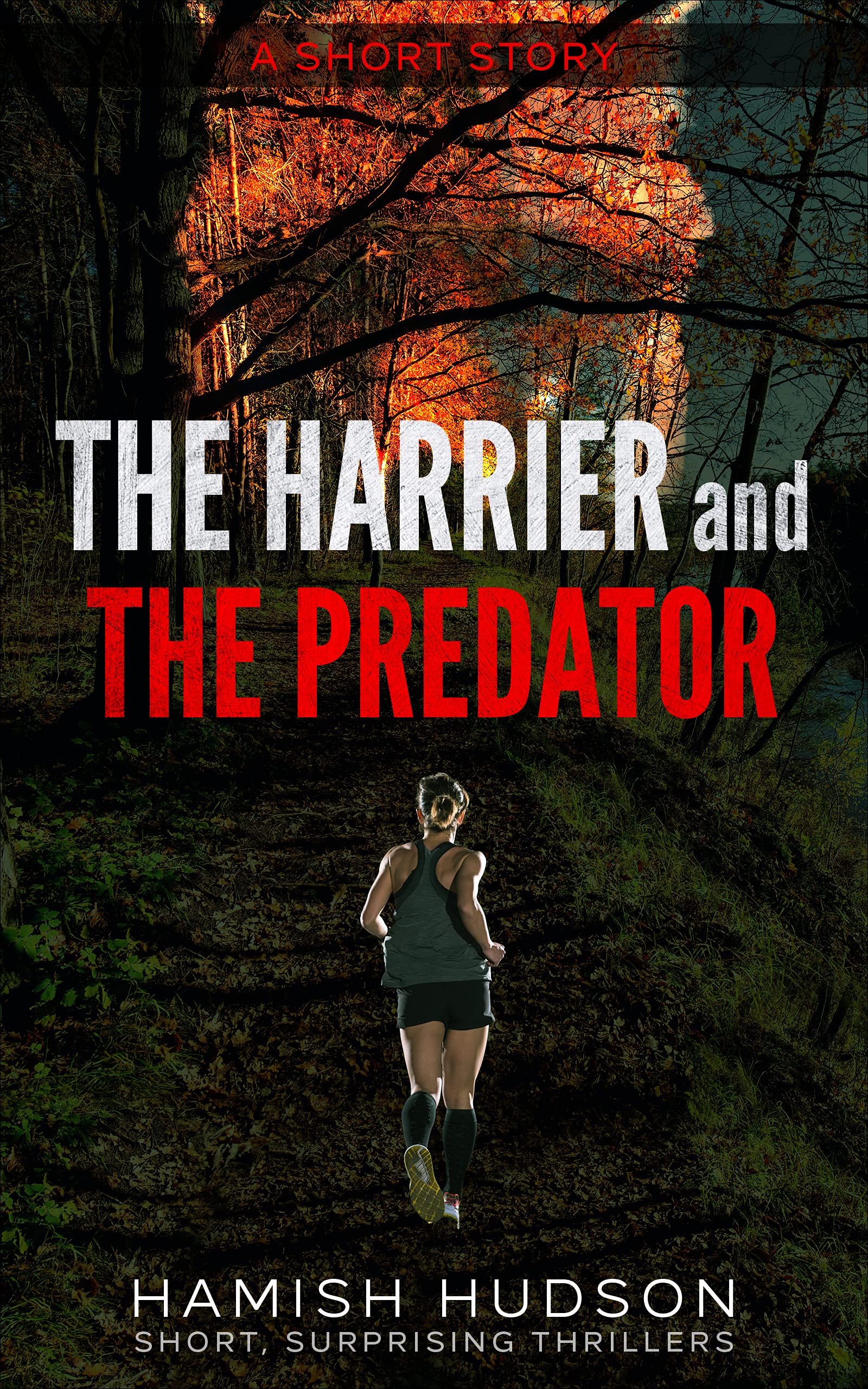 The Harrier and the Predator: A psychological short story thriller ...