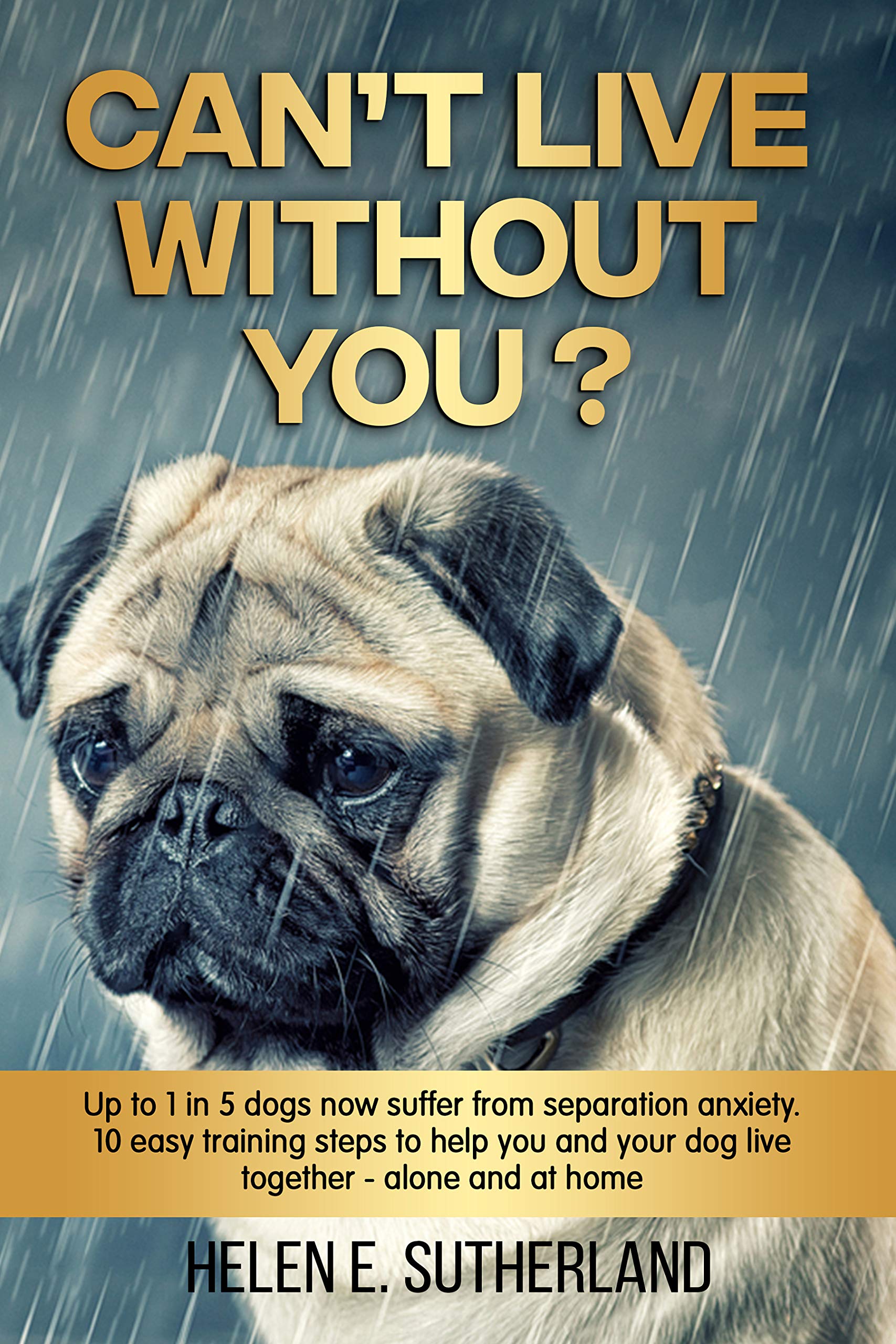 Can't Live Without You?: 1 in 5 dogs are likely to suffer from ...