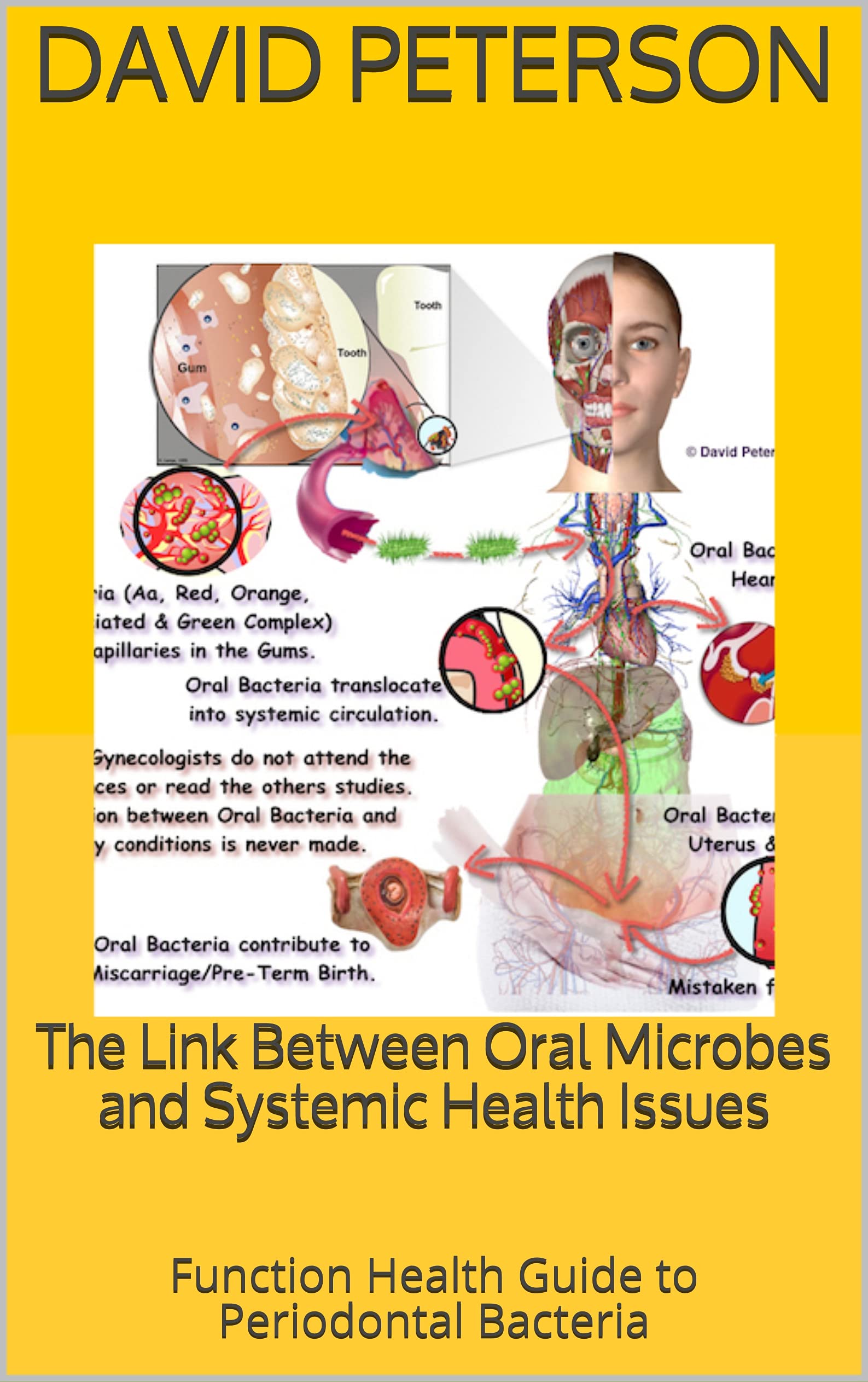 The Link Between Oral Microbes and Systemic Health Issues: Function ...