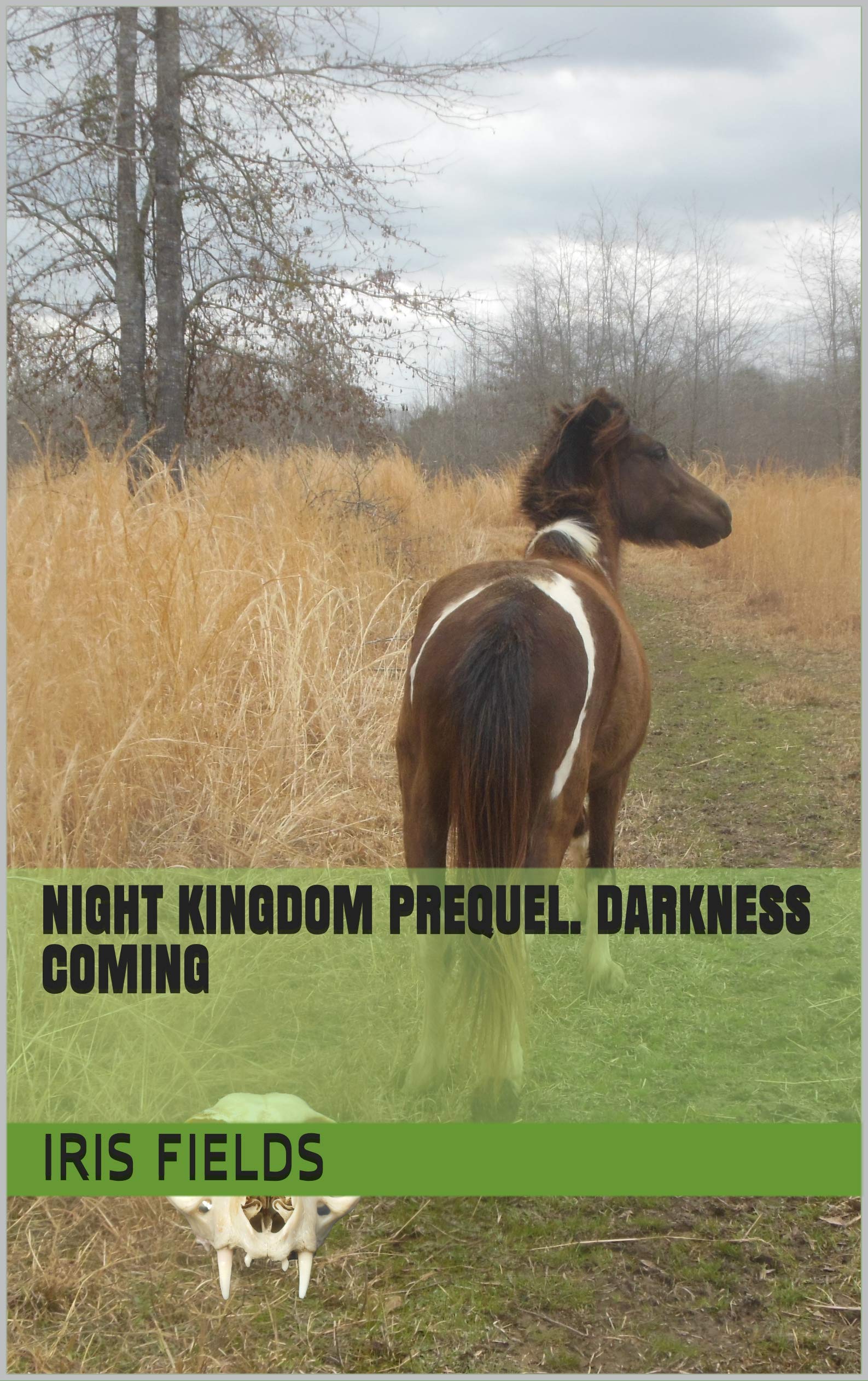 Night Kingdom Prequel. Darkness Coming by Iris Fields | Goodreads