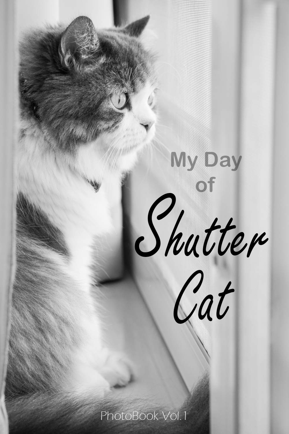 Shutter Cat PhotoBook : Shutter Cat PhotoBook Vol.1 - photo for ...