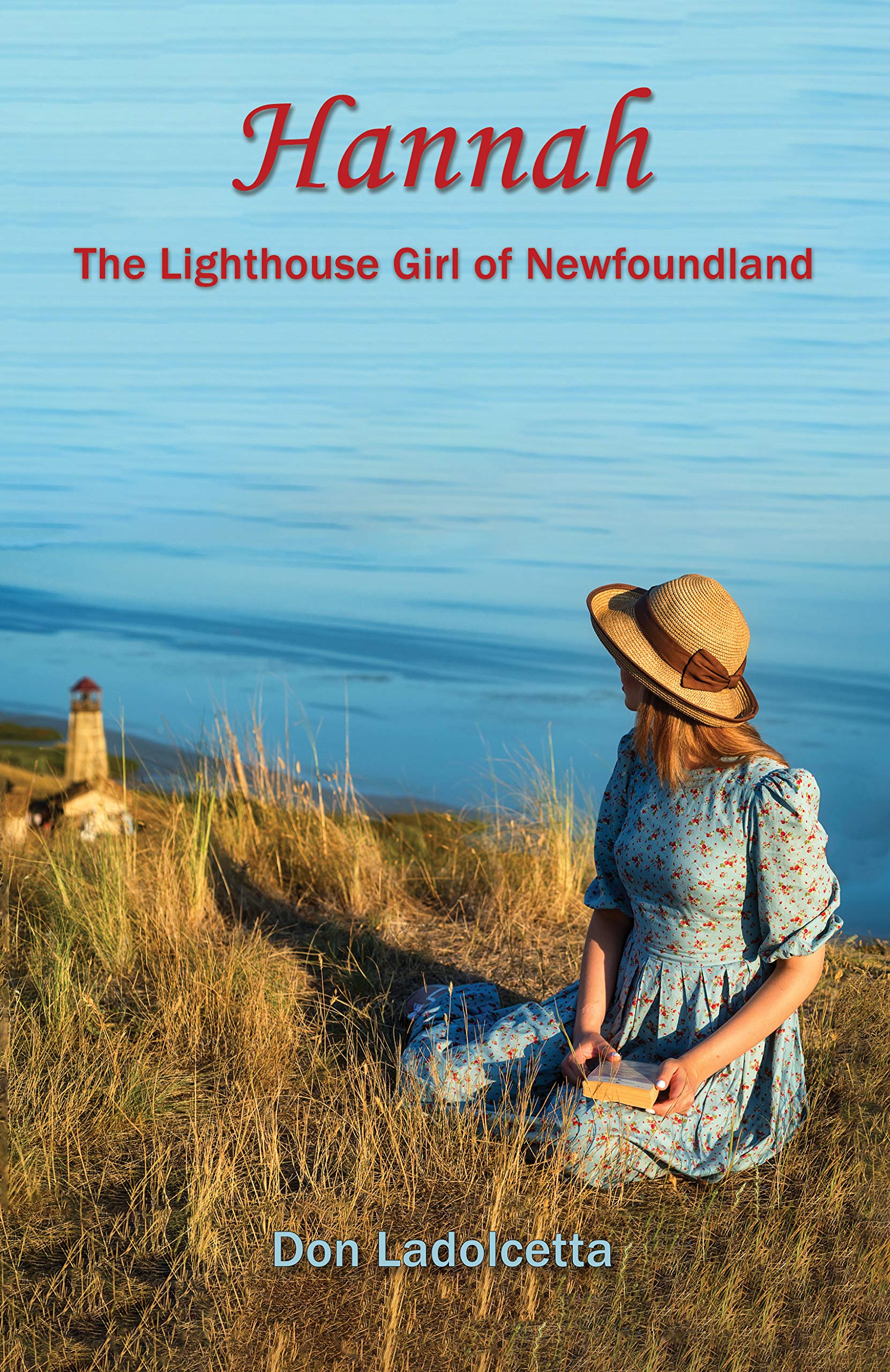 Hannah: The Lighthouse Girl of Newfoundland by Don Ladolcetta | Goodreads