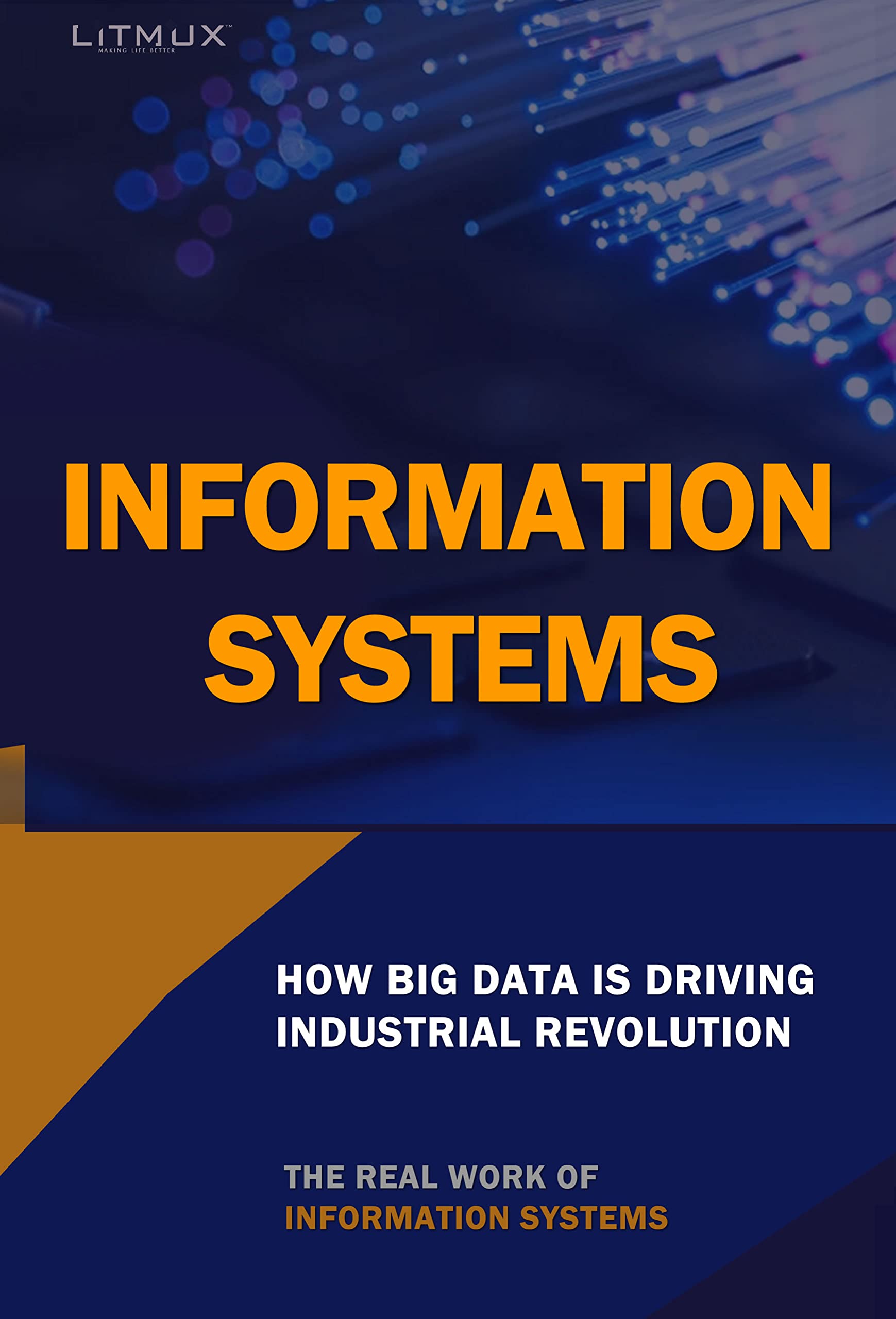 Information Systems: How Application Of Big Data Drives Industries. The ...