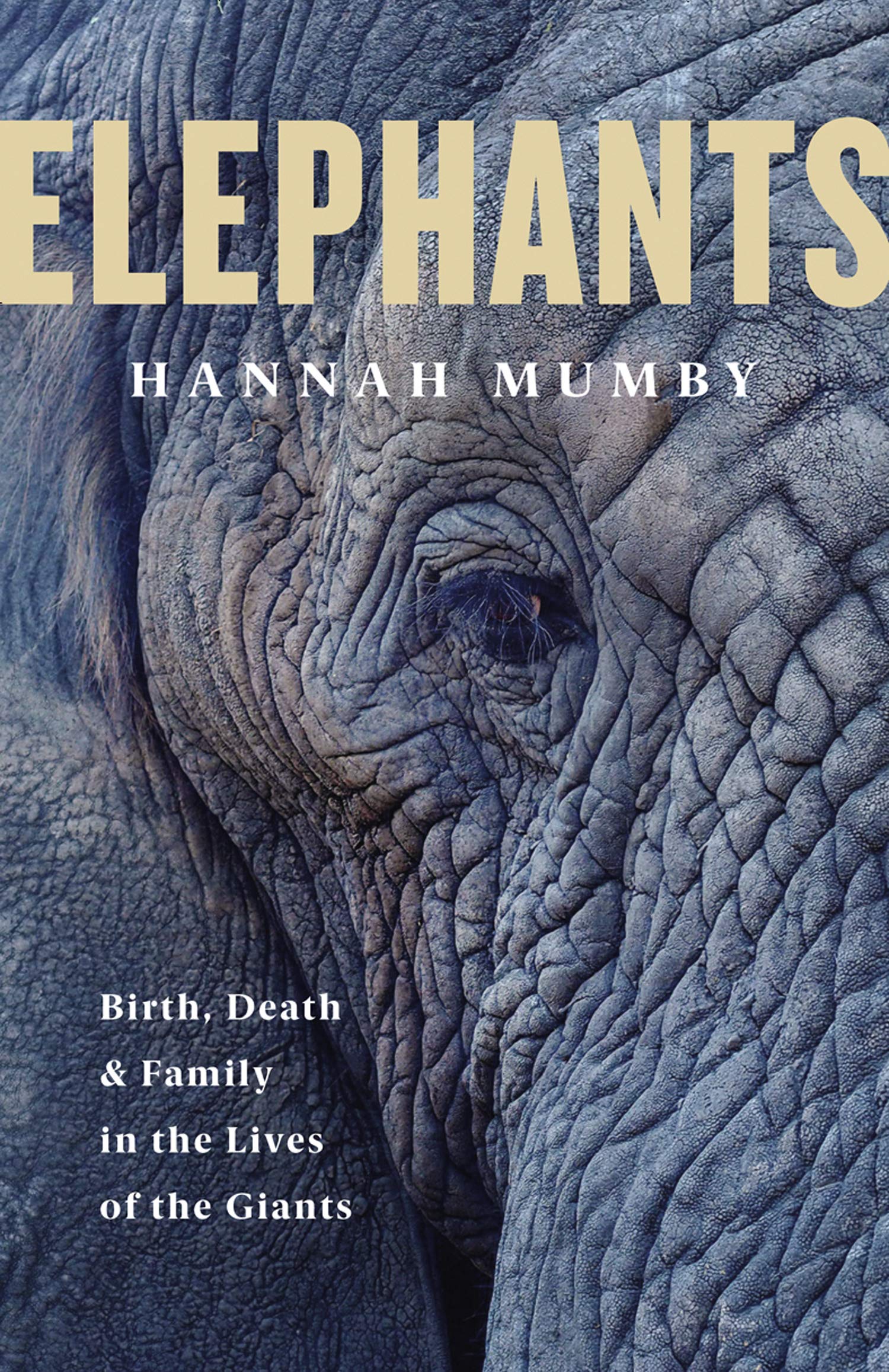 Elephants by Hannah Mumby | Goodreads