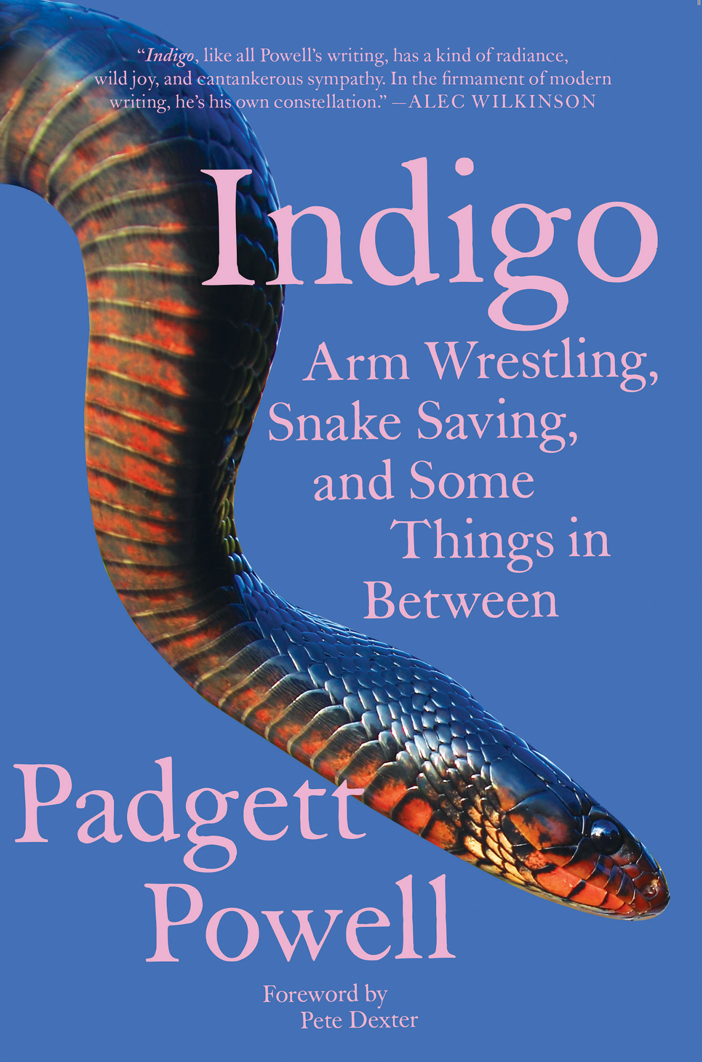 Indigo by Padgett Powell | Goodreads