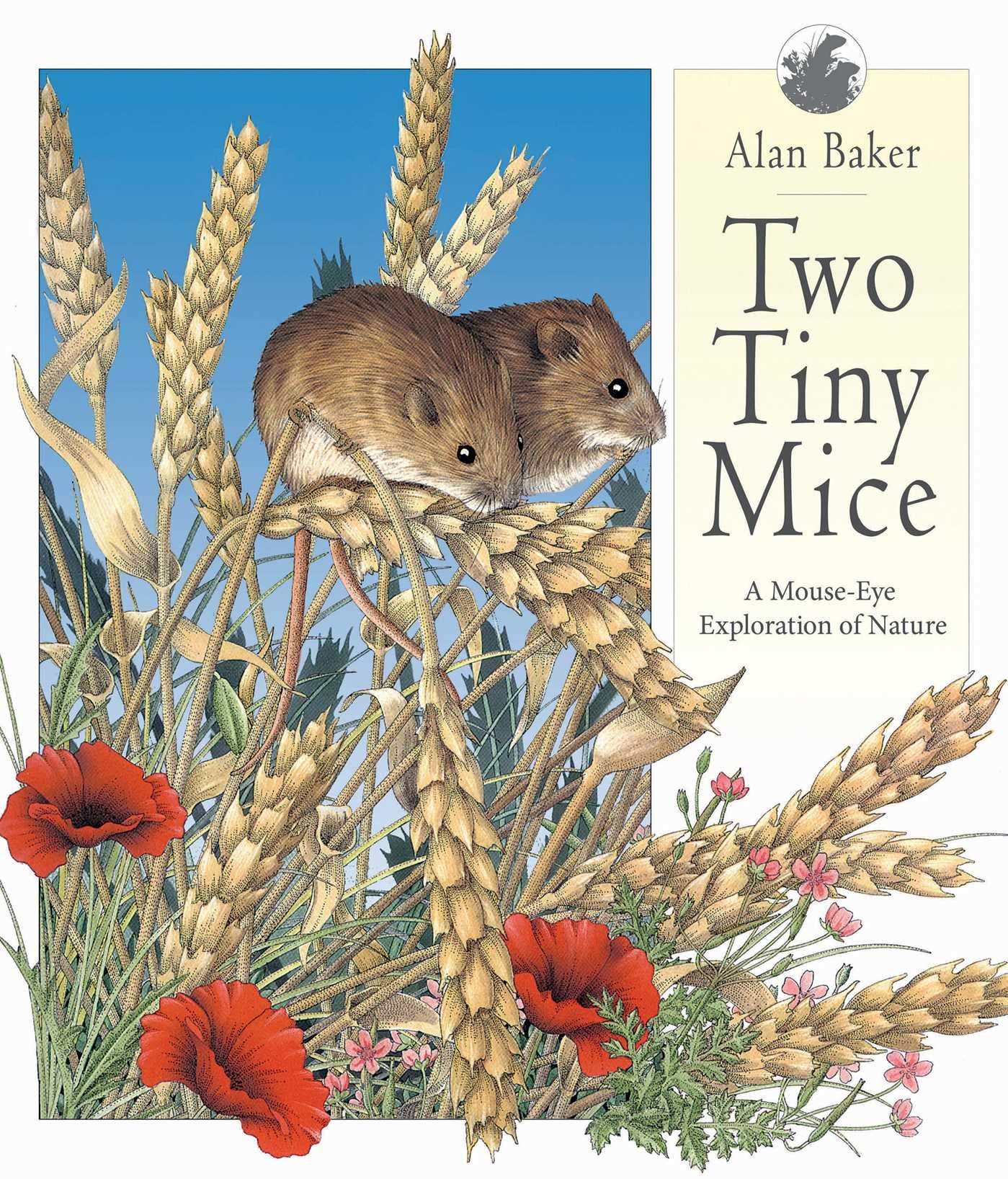 Two Tiny Mice: A Mouse-Eye Exploration of Nature by Alan Baker | Goodreads
