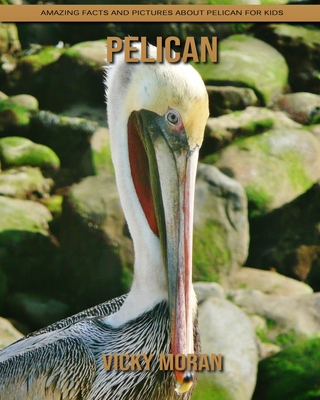 Pelican: Amazing Facts and Pictures about Pelican for Kids by Vicky ...