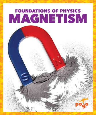 Magnetism (Foundations of Physics) by Anita Nahta Amin | Goodreads