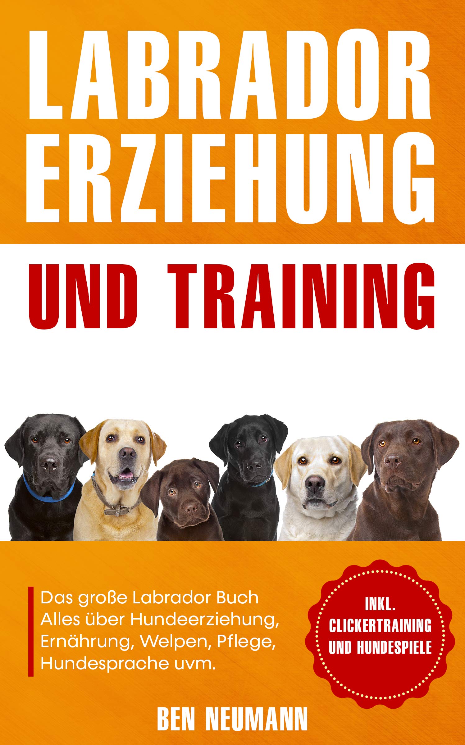 Labrador Erziehung und Training: Das große Labrador Buch - Alles über ...