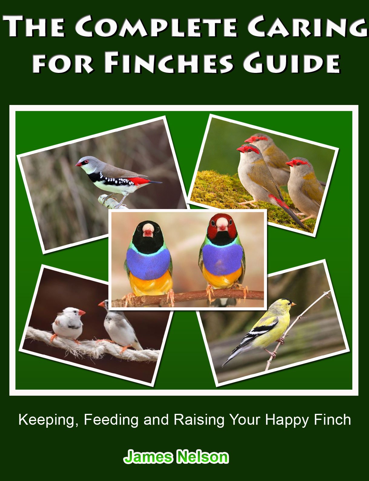 The Complete Caring for Finches Guide: Keeping, Feeding and Raising ...
