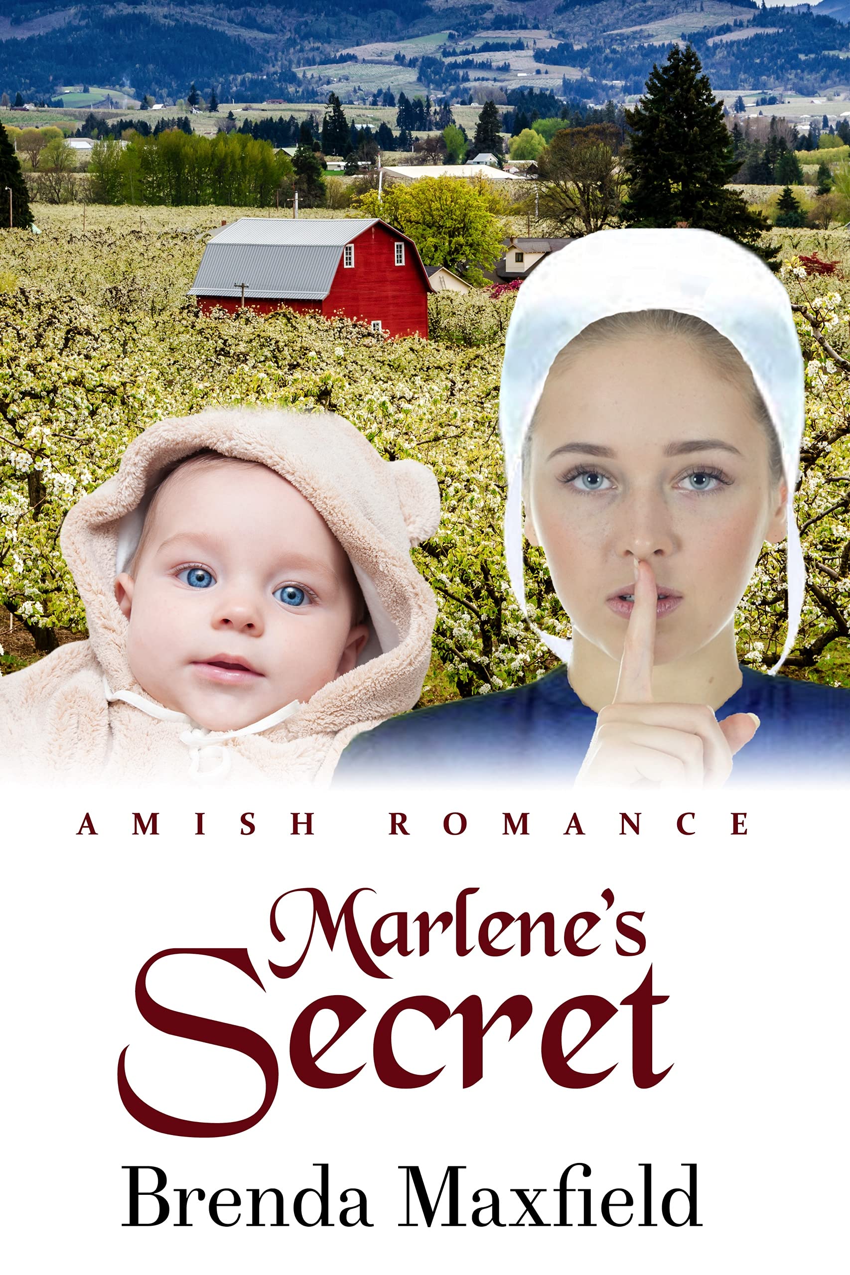 Marlene's Secret by Brenda Maxfield | Goodreads