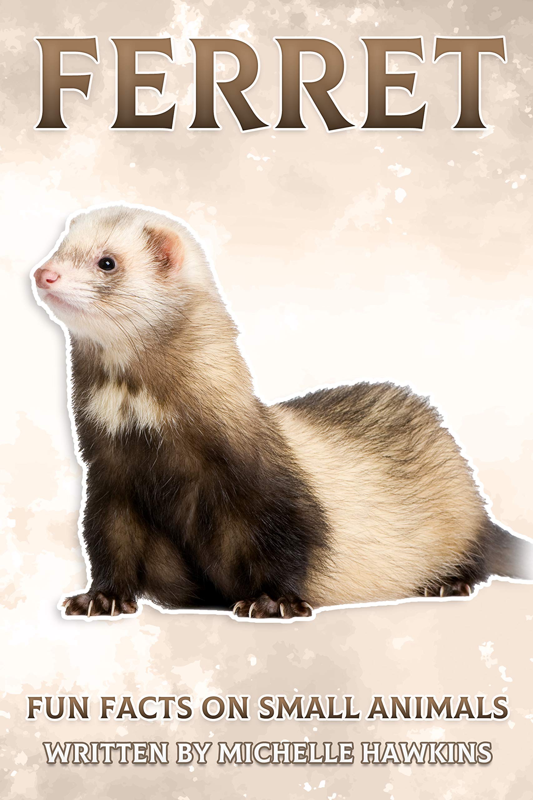 Ferret: Fun Facts on Small Animals #7 by Michelle Hawkins | Goodreads