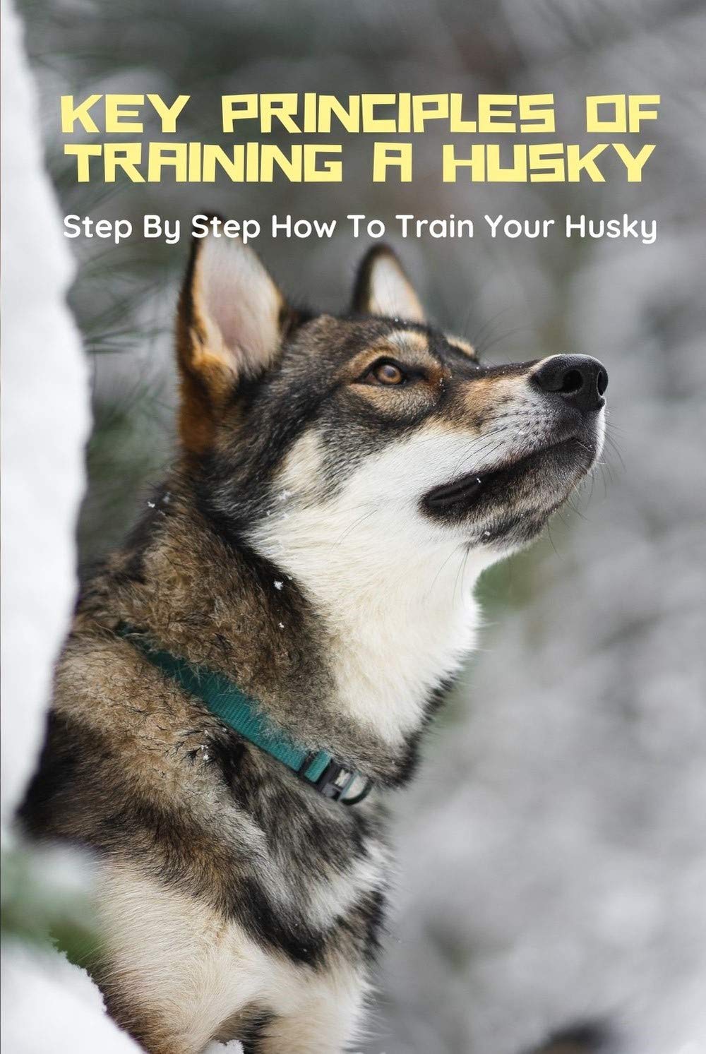Key Principles of Training a Husky: Step By Step How To Train Your ...