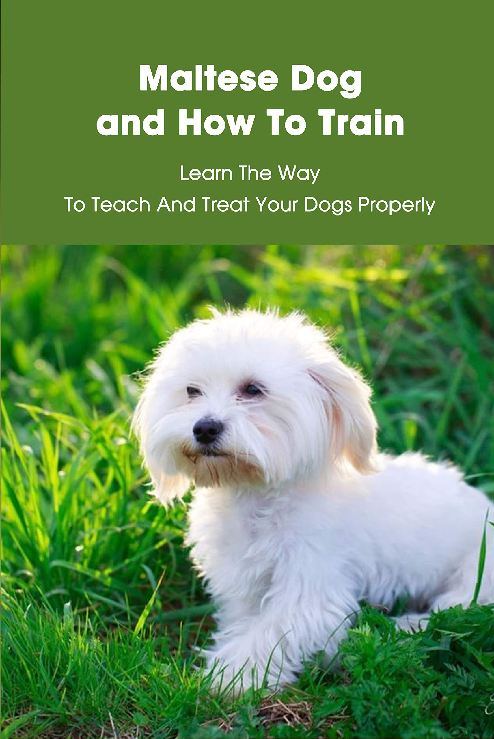 Maltese Dog and How To Train: Learn The Way To Teach And Treat Your ...
