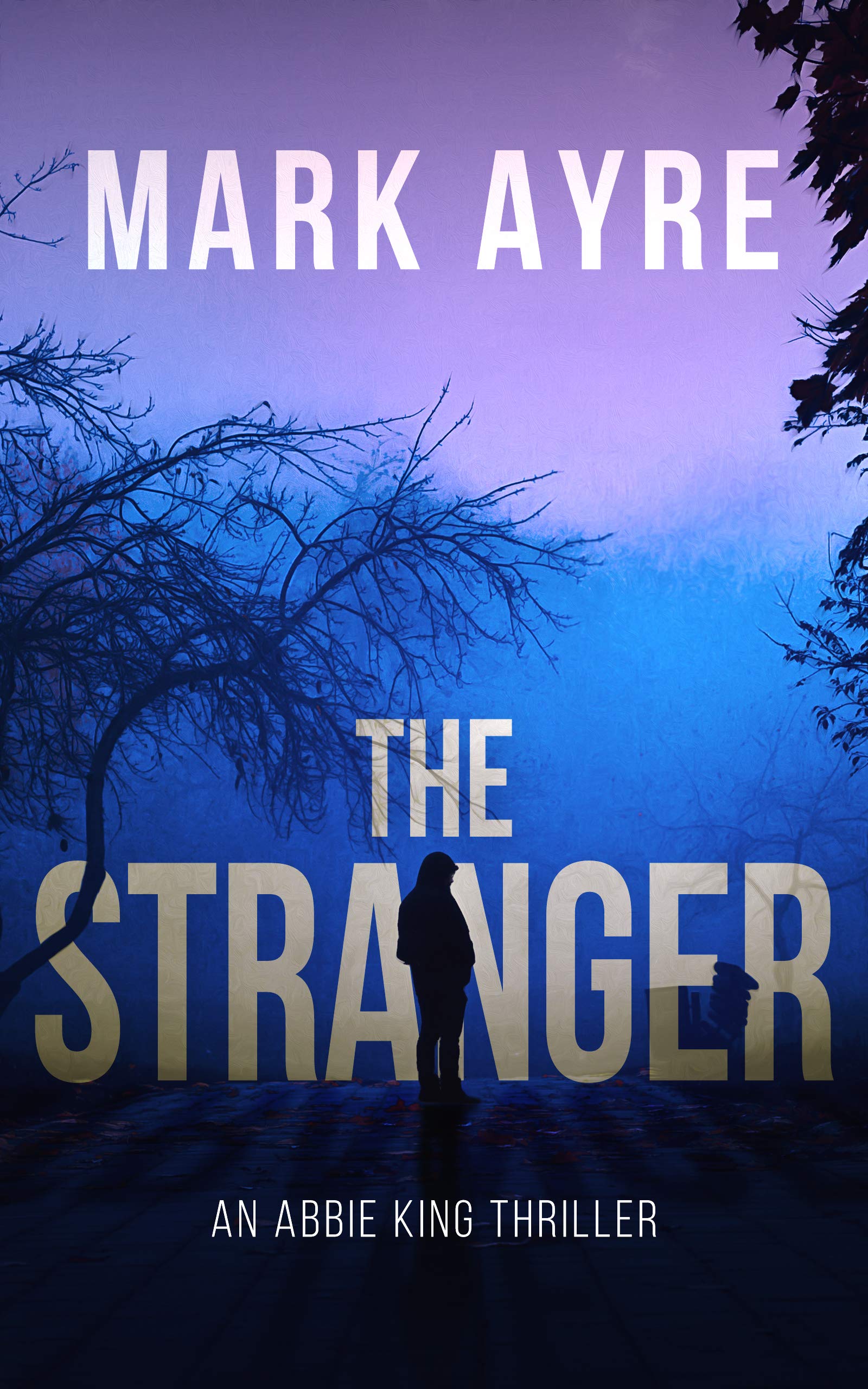 The Stranger (Abbie King, #1) by Mark Ayre | Goodreads