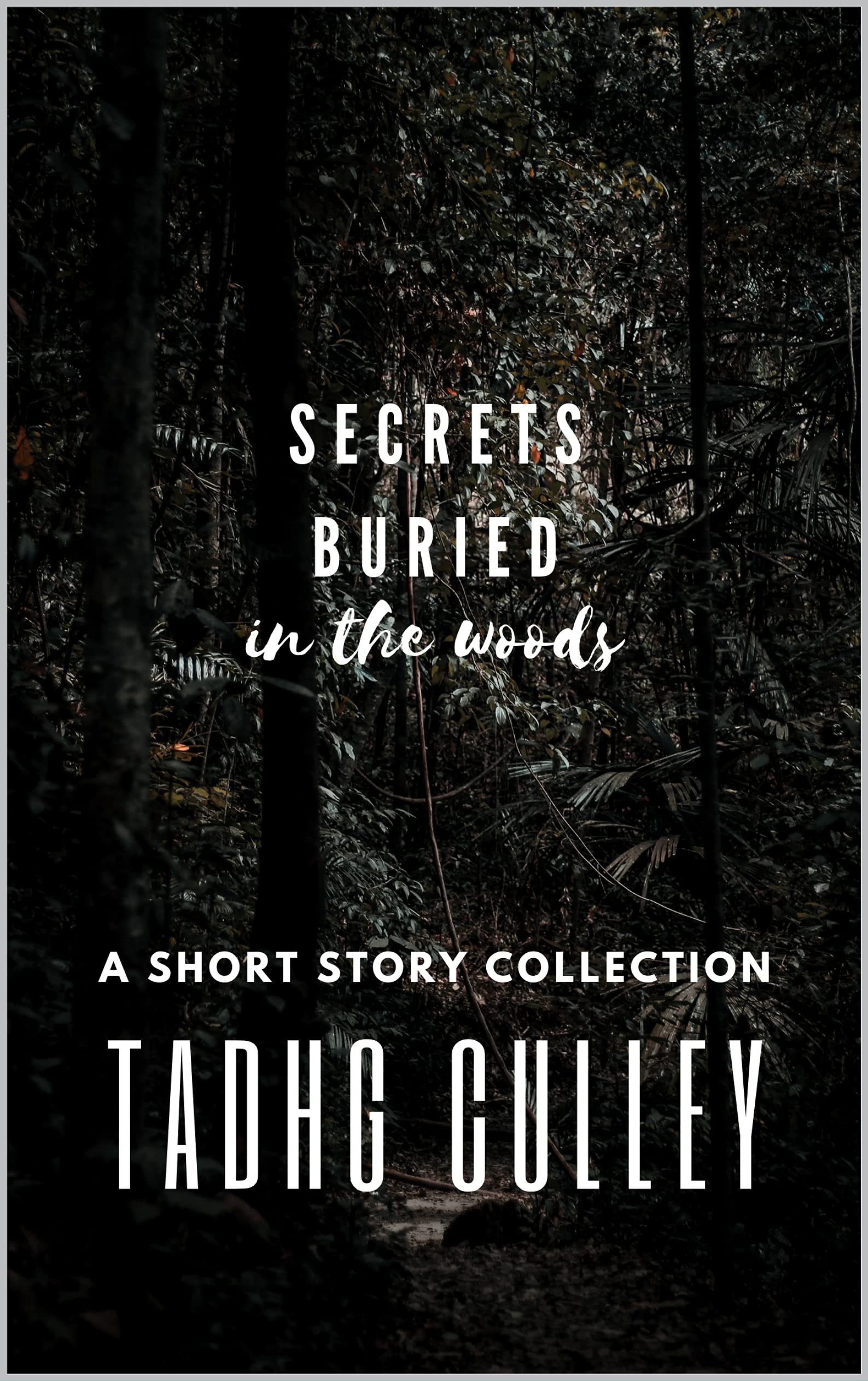 Secrets Buried In The Woods: A Collection Of Short Stories by Tadhg ...